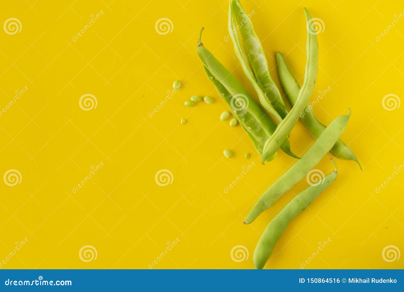 Flat Lay Young Natural Organic Bean Pod Isolated, Copy Space for Your ...