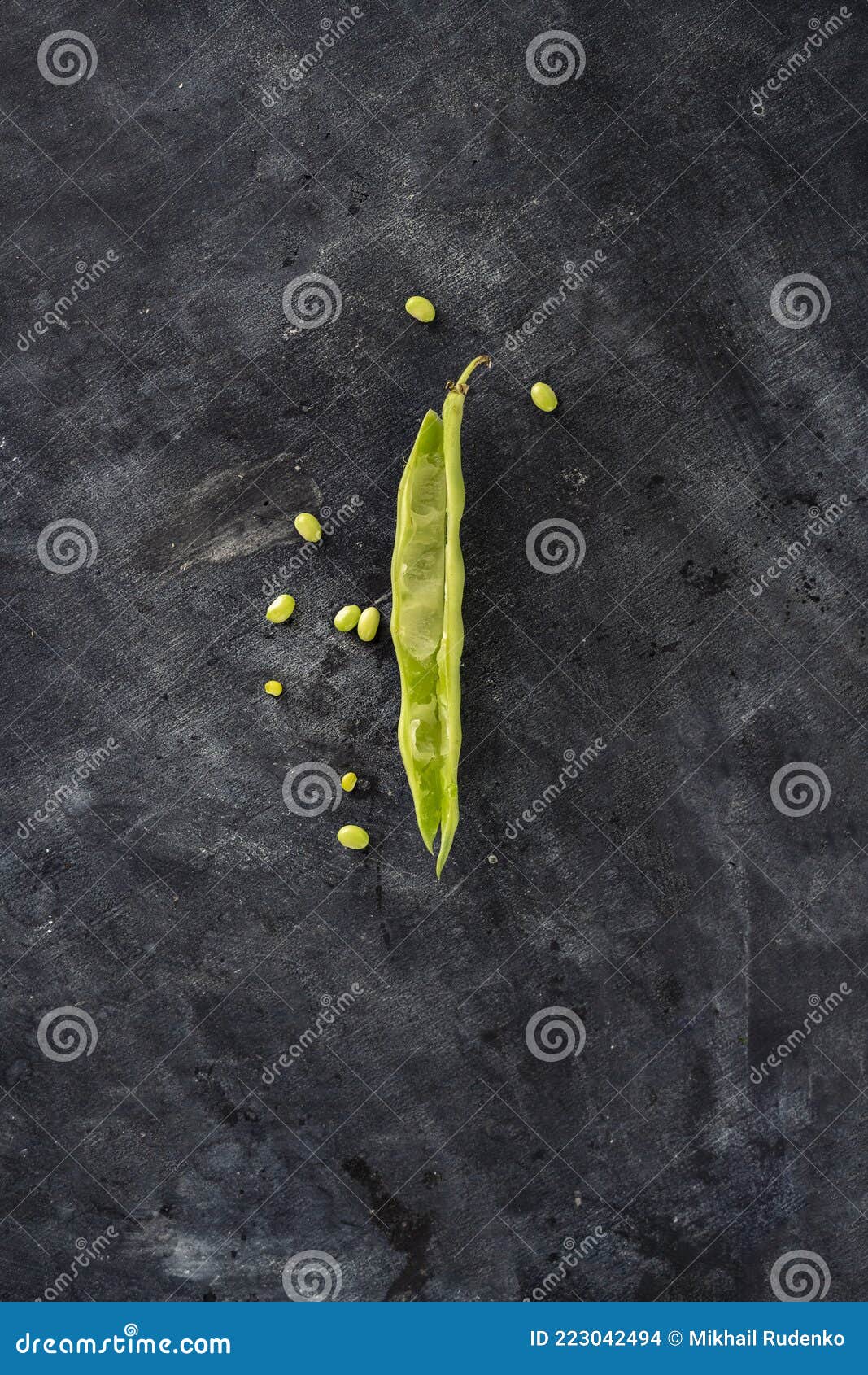 Flat Lay Young Natural Organic Bean Pod Isolated, Copy Space for Your ...