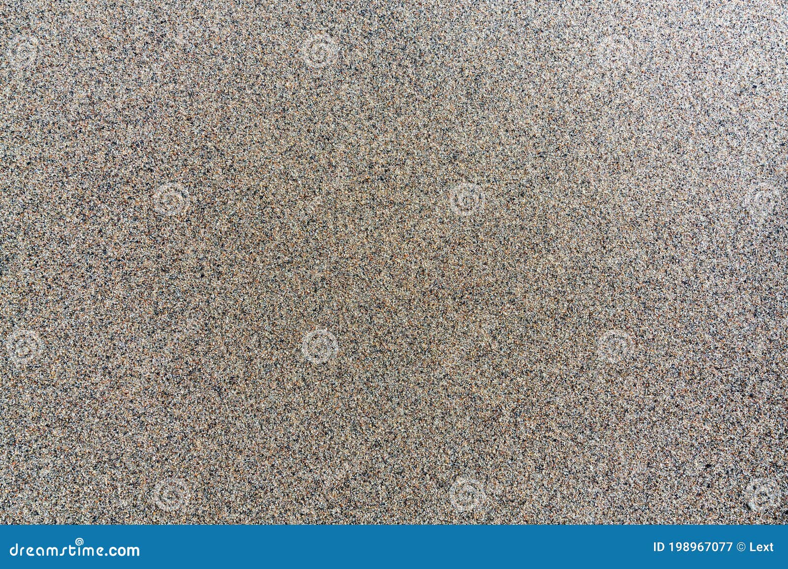 A Flat Layer of Wet Sea Sand Stock Image - Image of sand, clear: 198967077