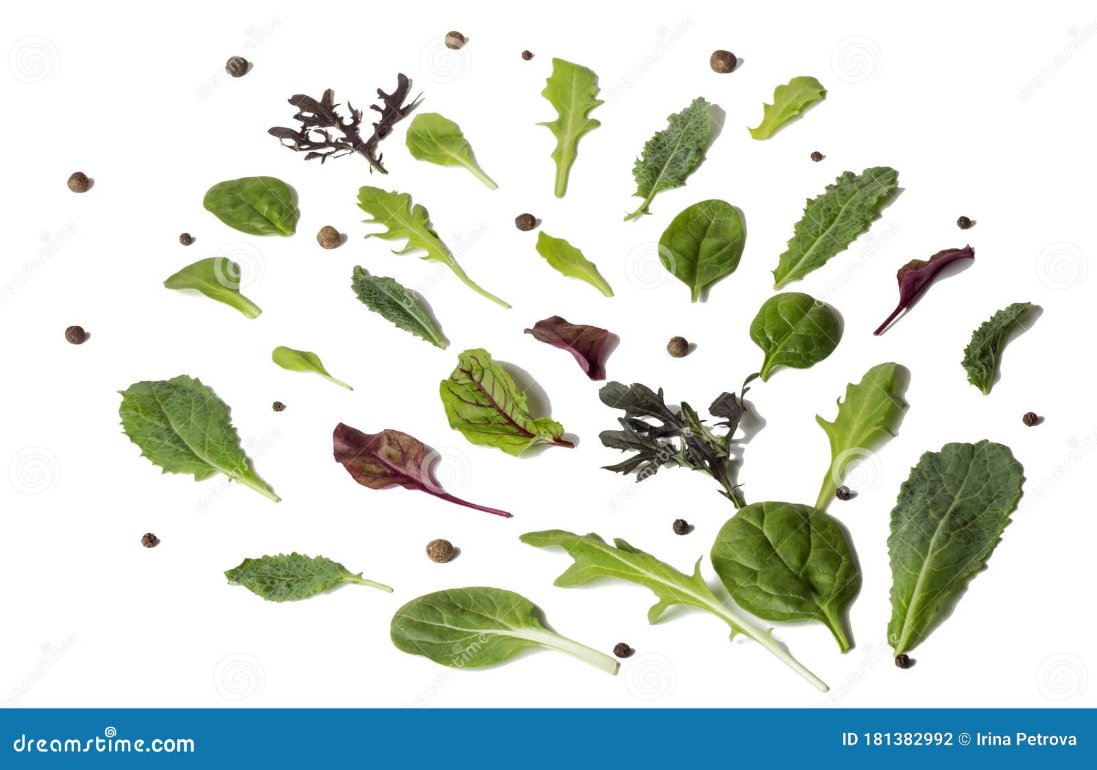 Flat Layout with a Copy of the Space from a Variety of Fresh Green ...