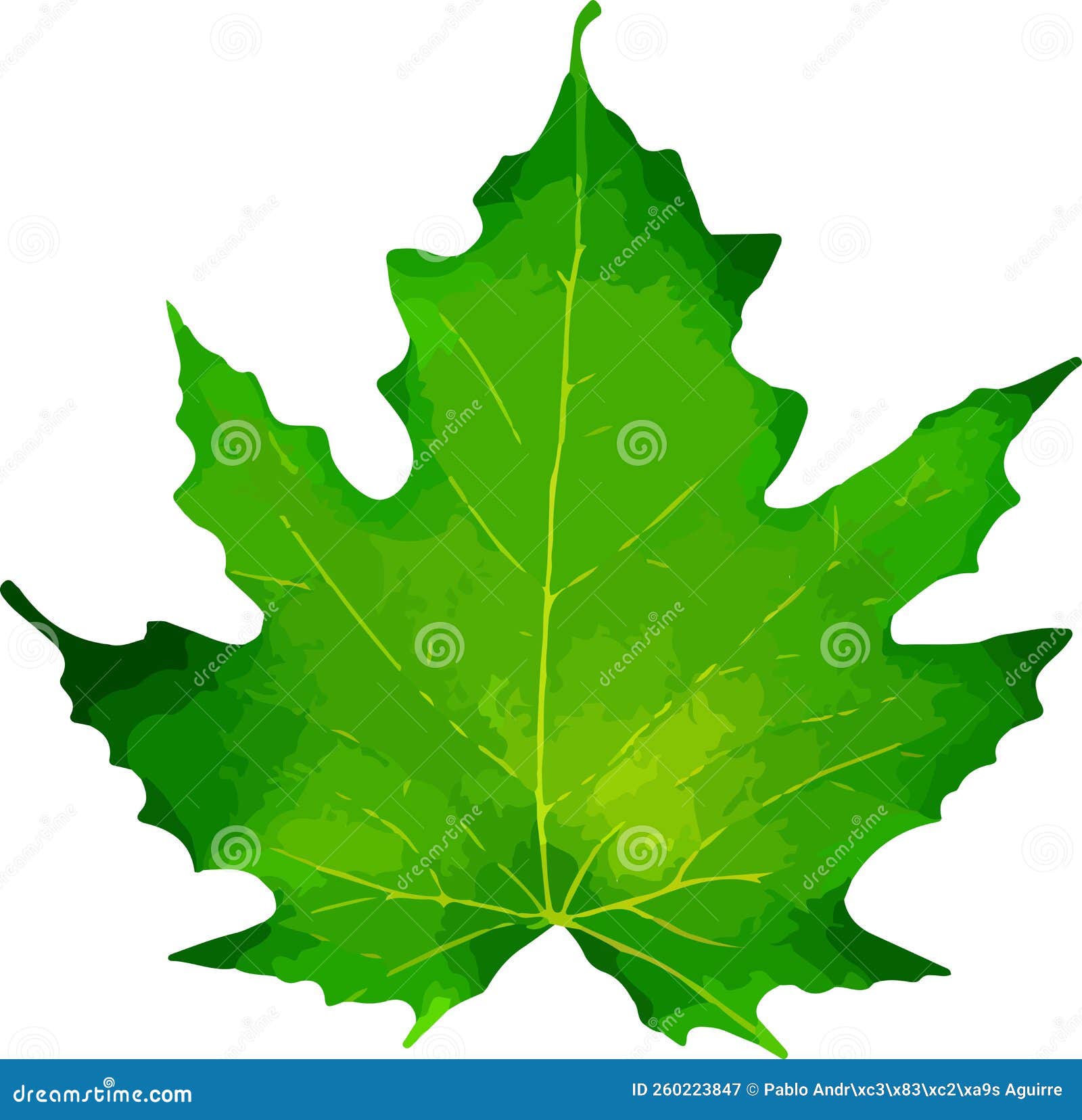 Flat Leaves Icons. Vector Illustration. Stock Vector - Illustration of ...