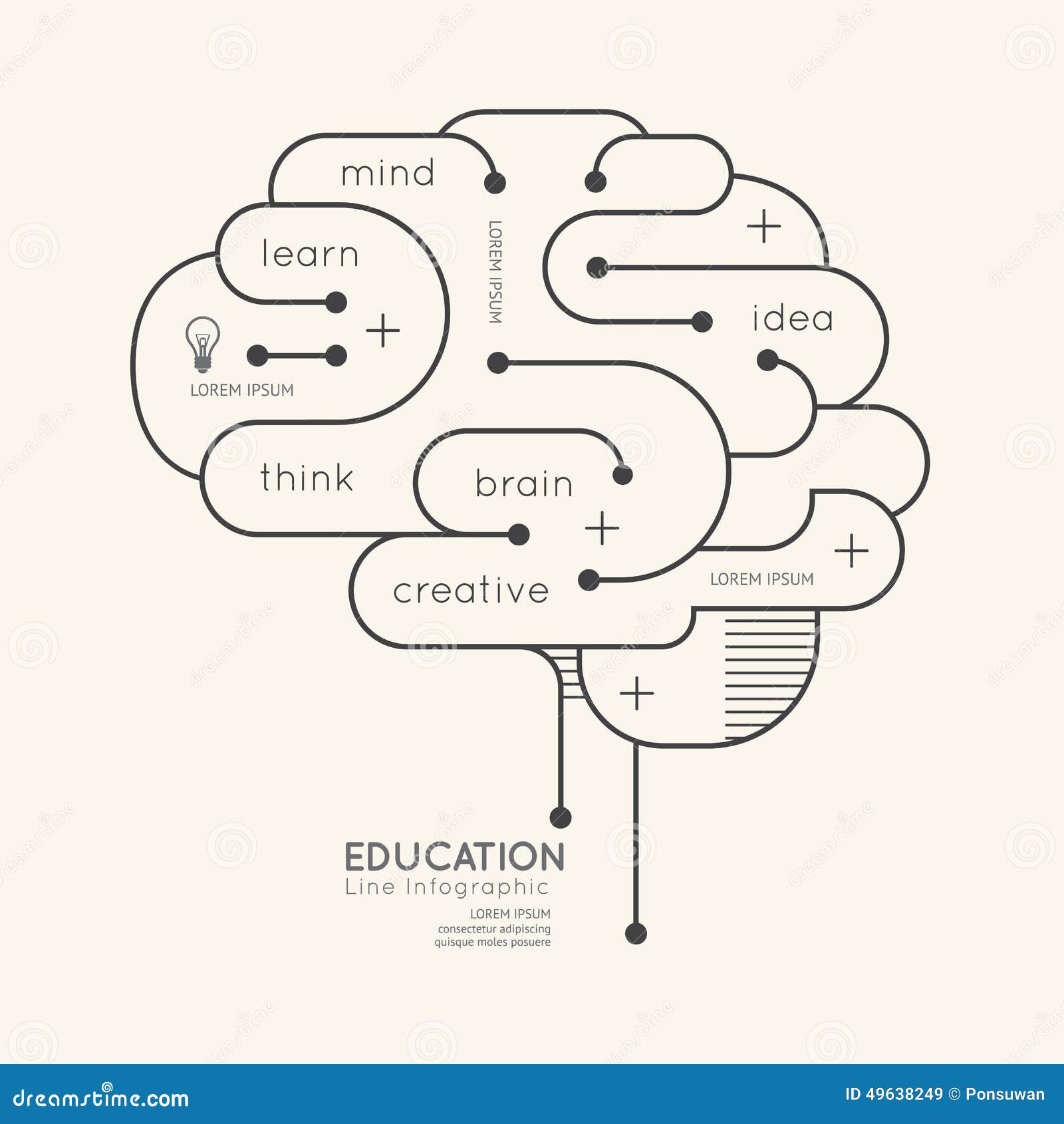 Flat Linear Infographic Education Outline Brain Concept.Vector ...