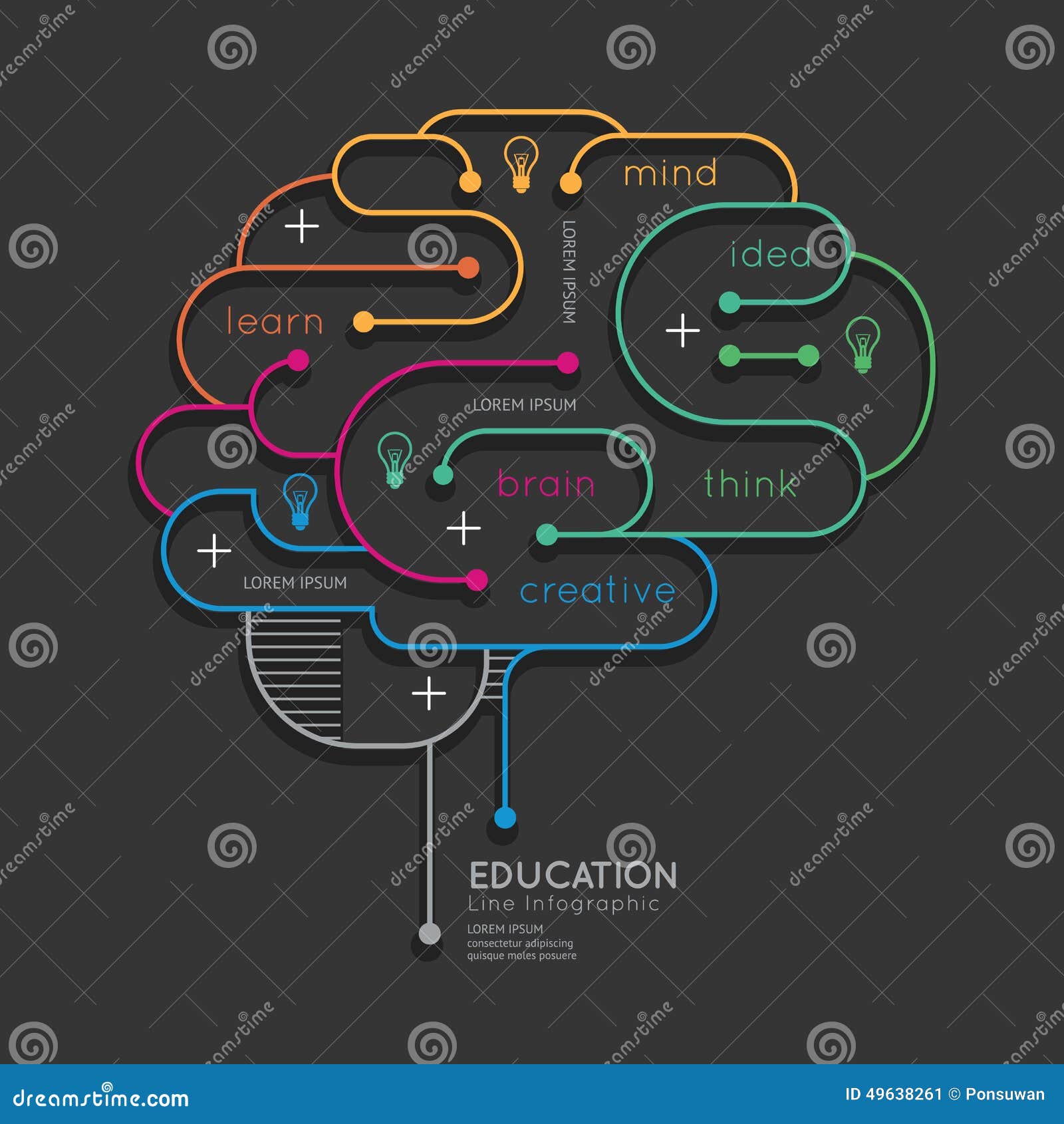Flat Linear Infographic Education Outline Brain Concept.Vector Stock ...