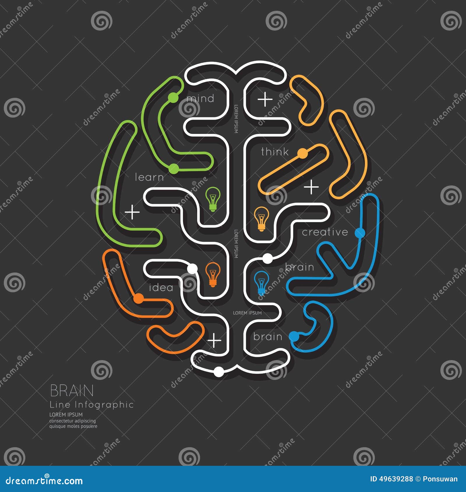 Flat Linear Infographic Education Outline Brain Concept.Vector ...