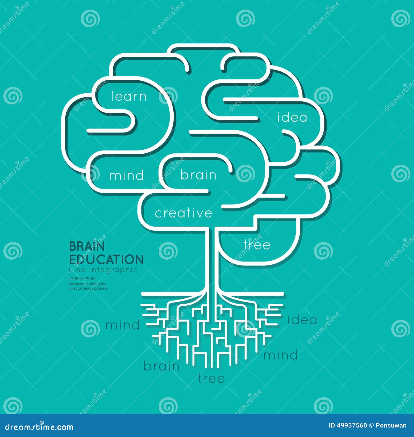 Flat Linear Infographic Education Outline Brain Roots Concept. Stock ...
