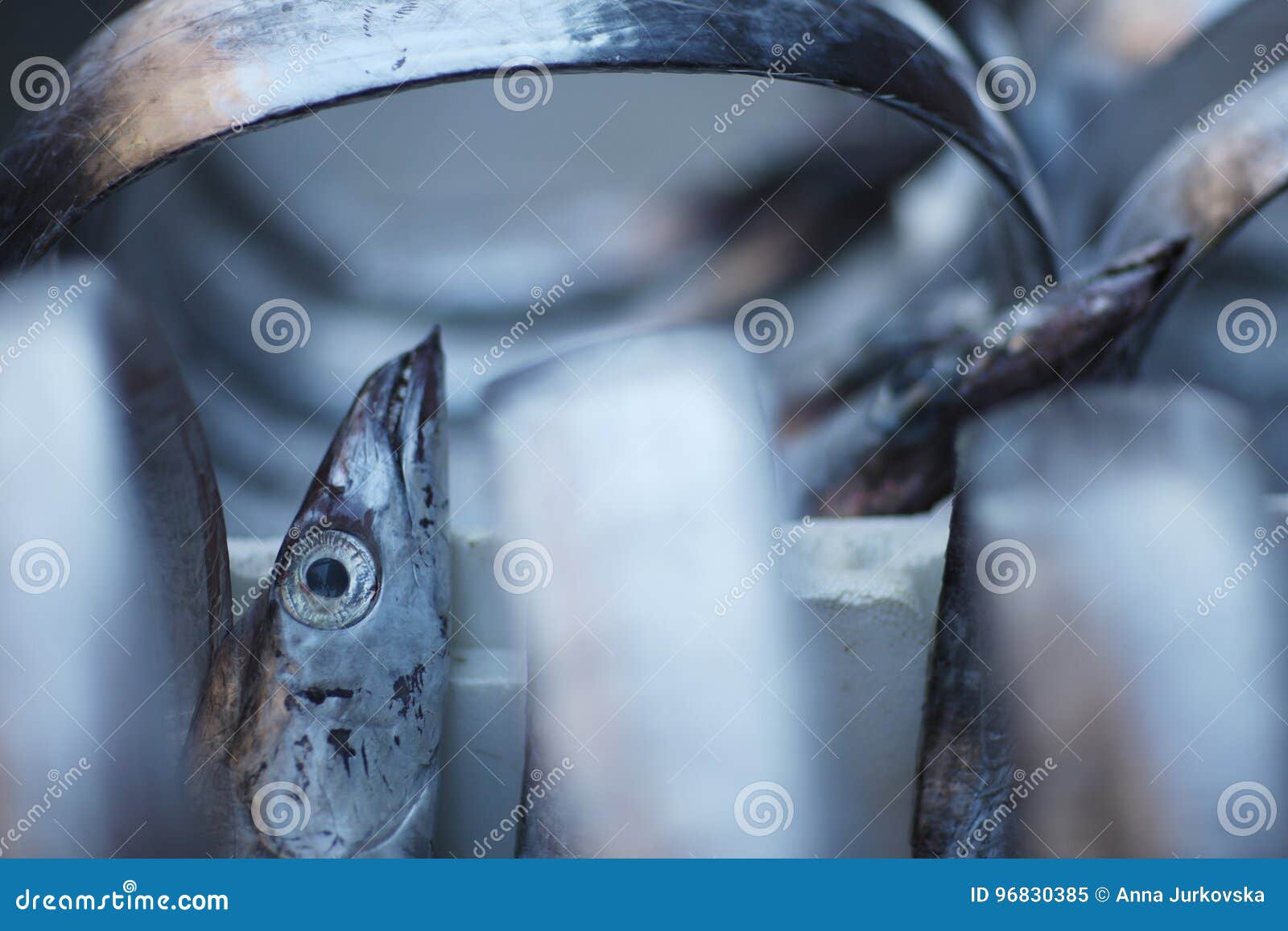 Flat Long Silver Fish Sword Stock Image - Image of counter, trade: 96830385