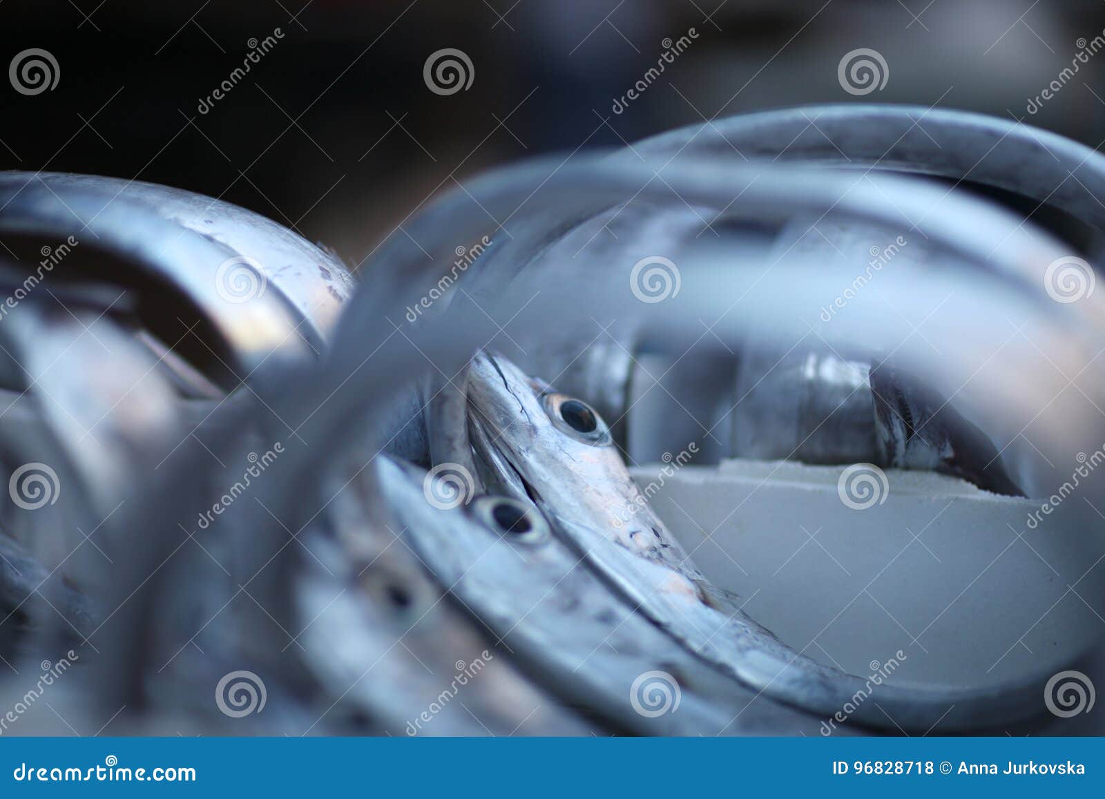Flat Long Silver Fish Sword Stock Photo - Image of subtropics ...