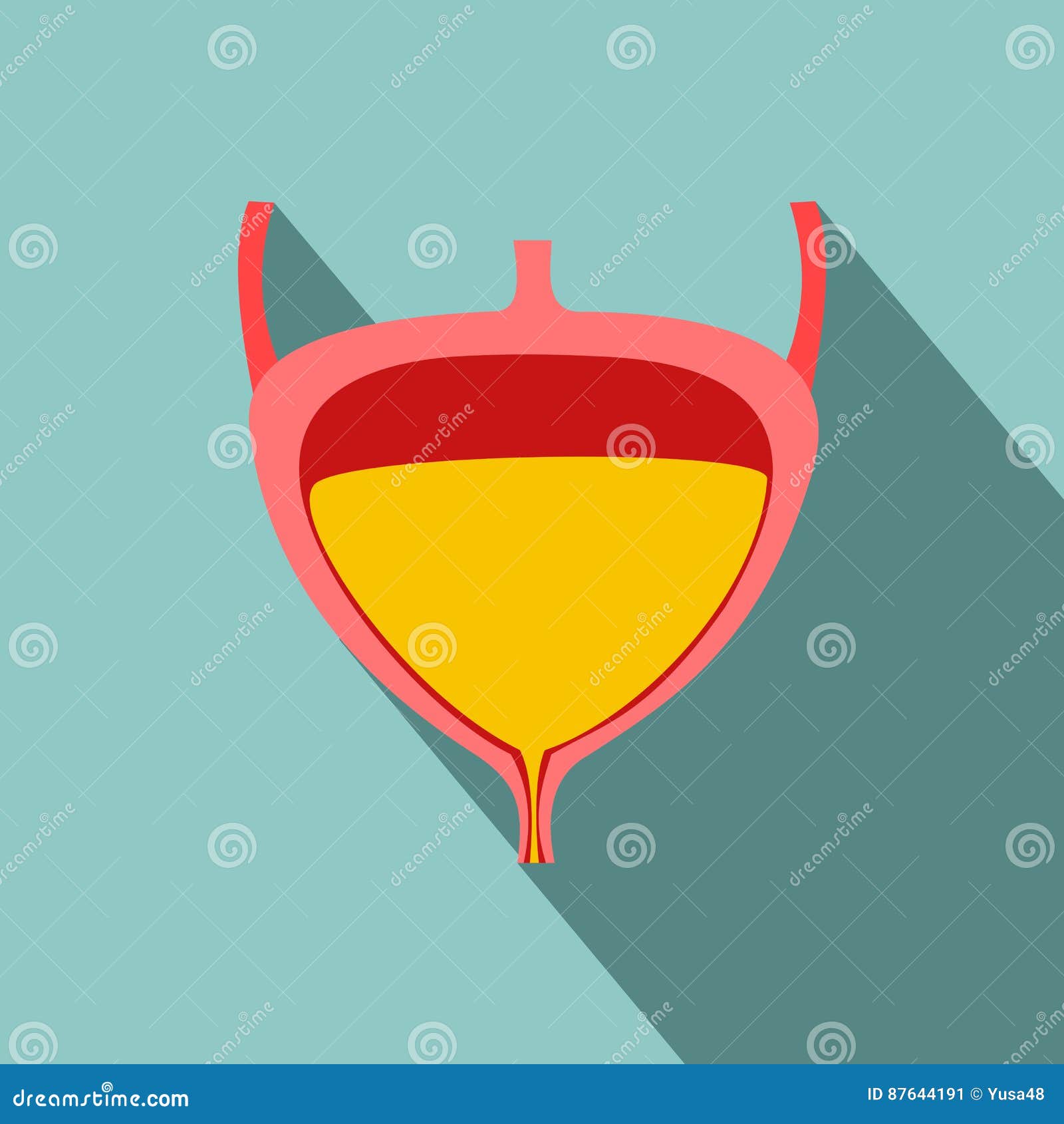 Flat Modern Design with Shadow Icons Bladder Stock Vector ...