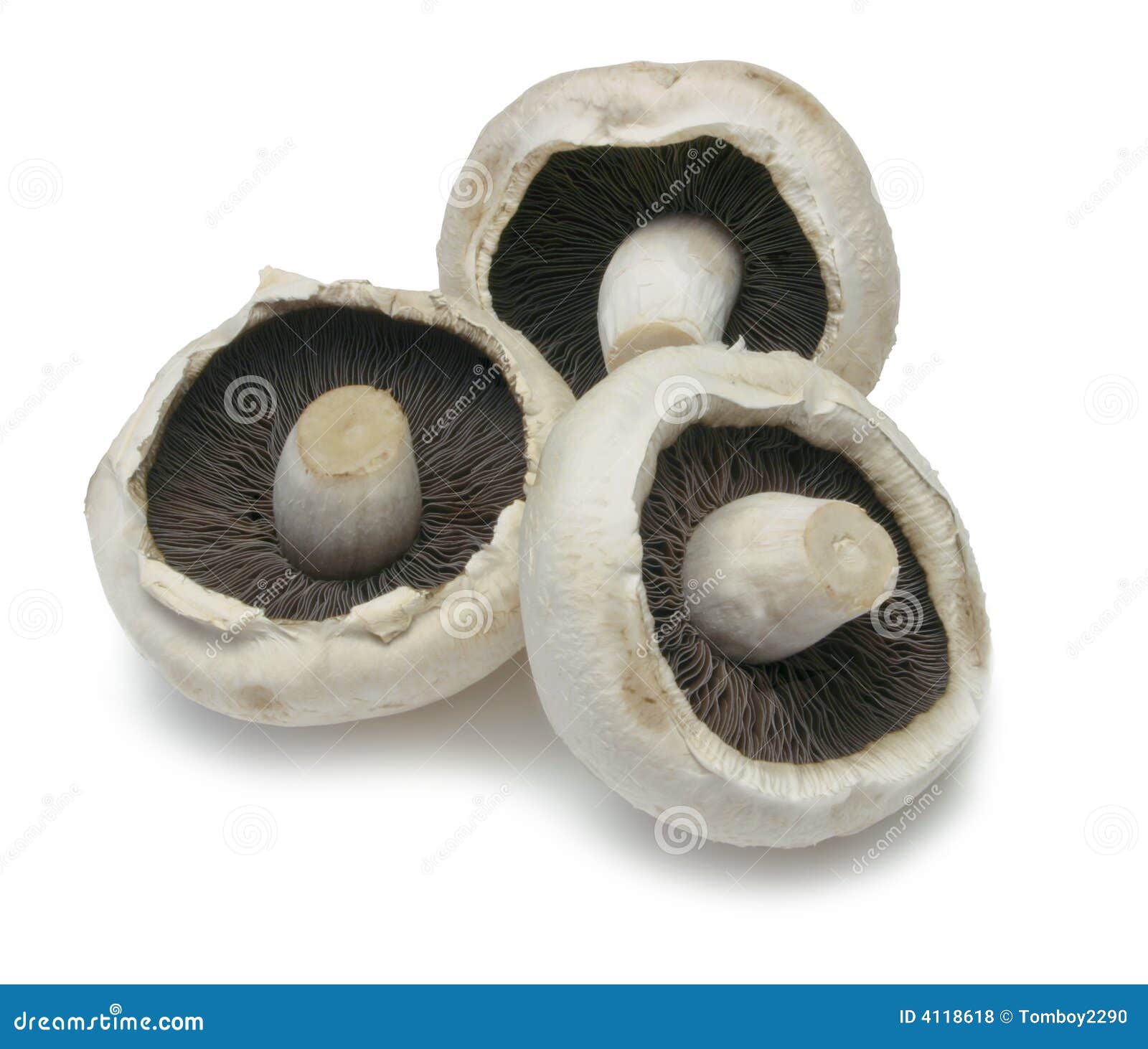 Flat Mushrooms stock photo. Image of diet, ingredient - 4118618