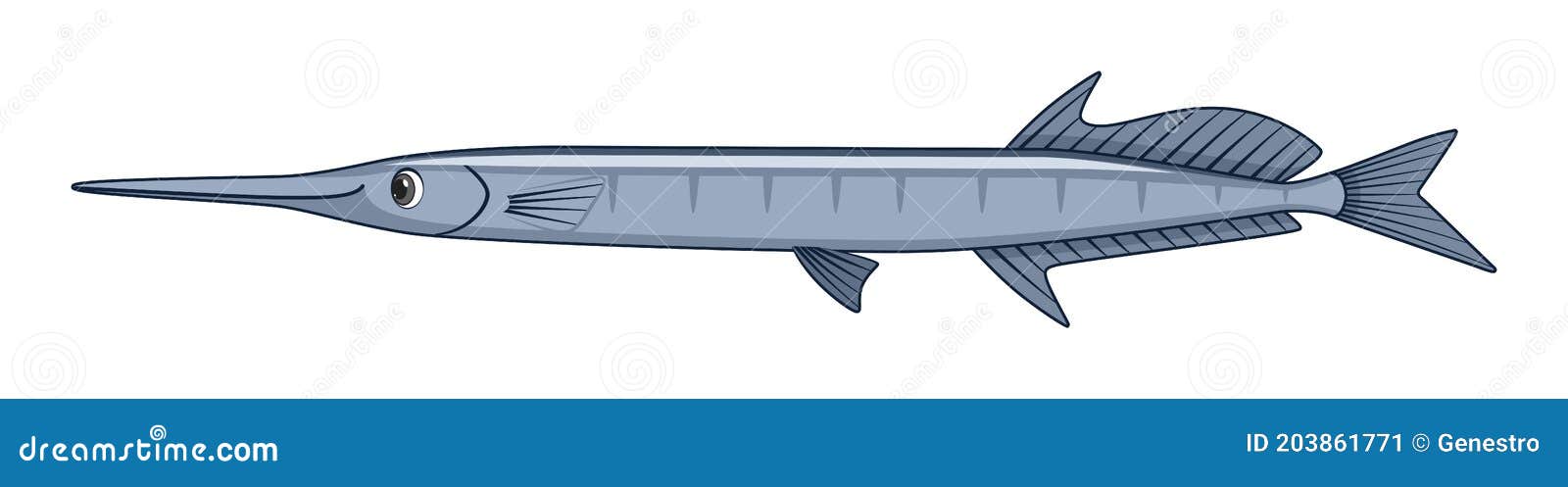 Flat Needlefish Fish on a White Background Stock Vector - Illustration ...