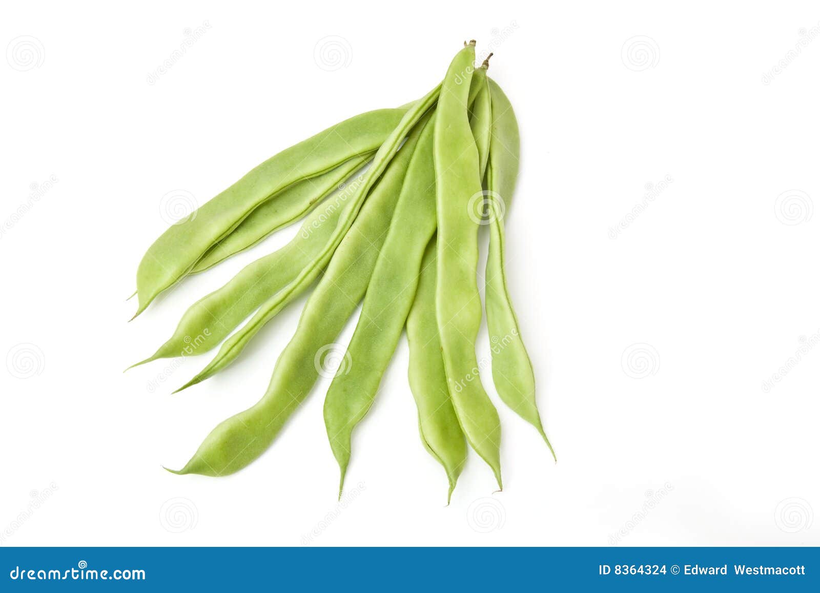 Flat pea pods stock photo. Image of white, pods, protein - 8364324