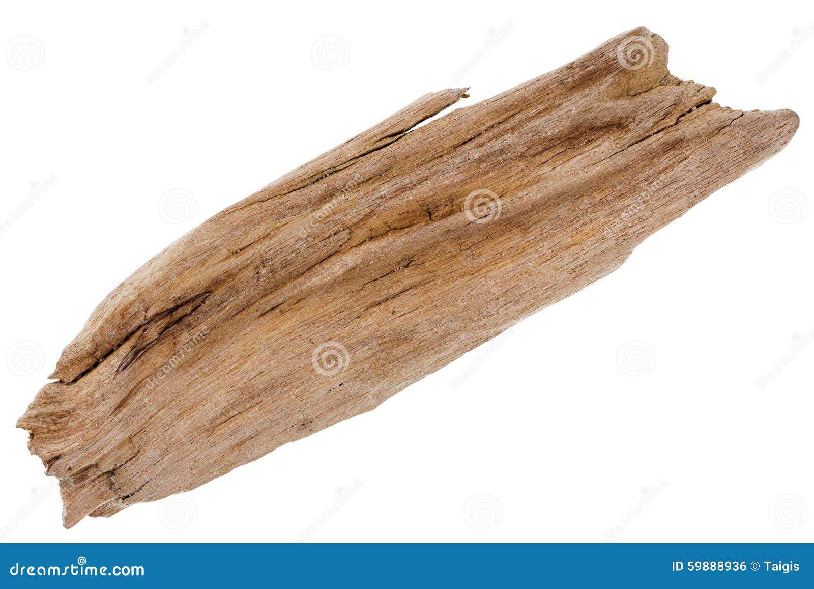 Flat piece of driftwood stock photo. Image of dirty, broken - 59888936