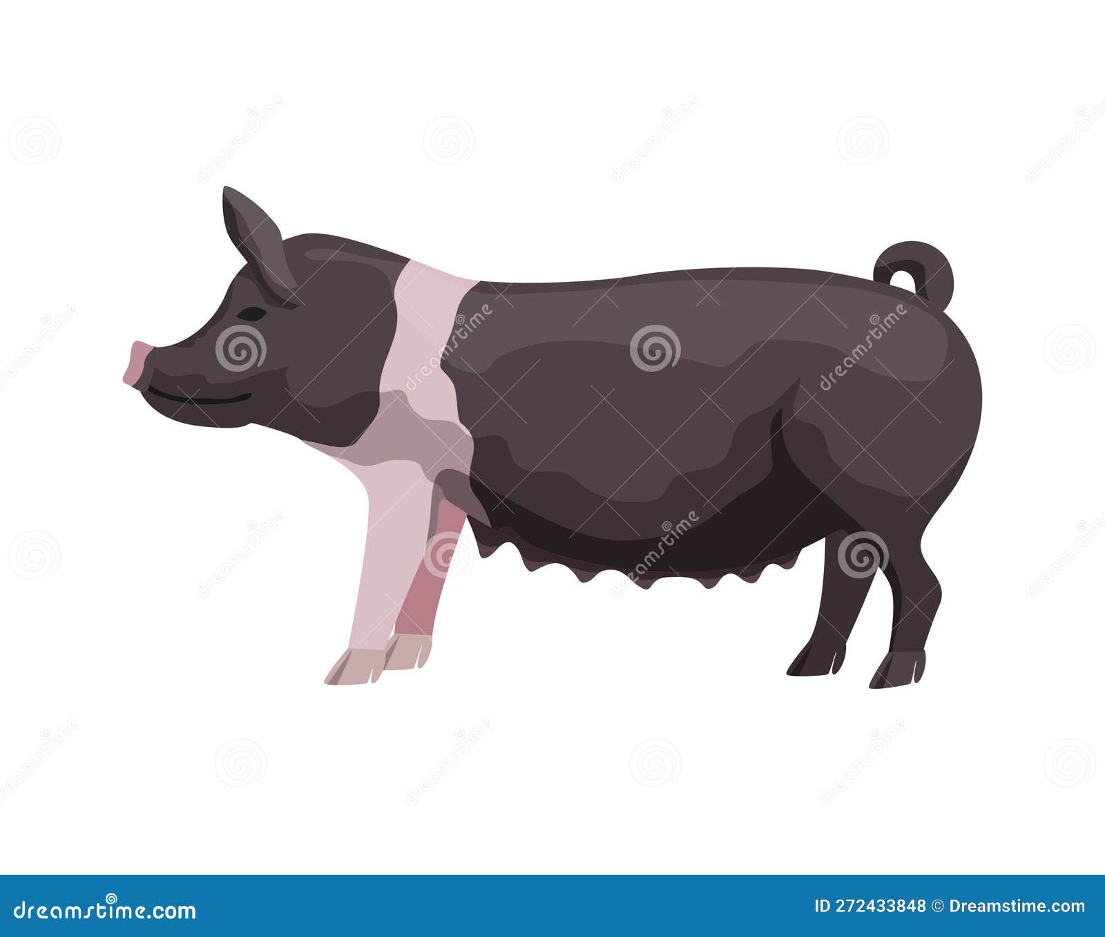 Flat Pig Illustration stock vector. Illustration of domesticated ...