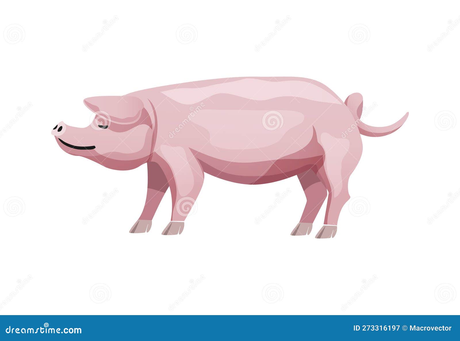 Flat Pig Illustration stock vector. Illustration of farm - 273316197