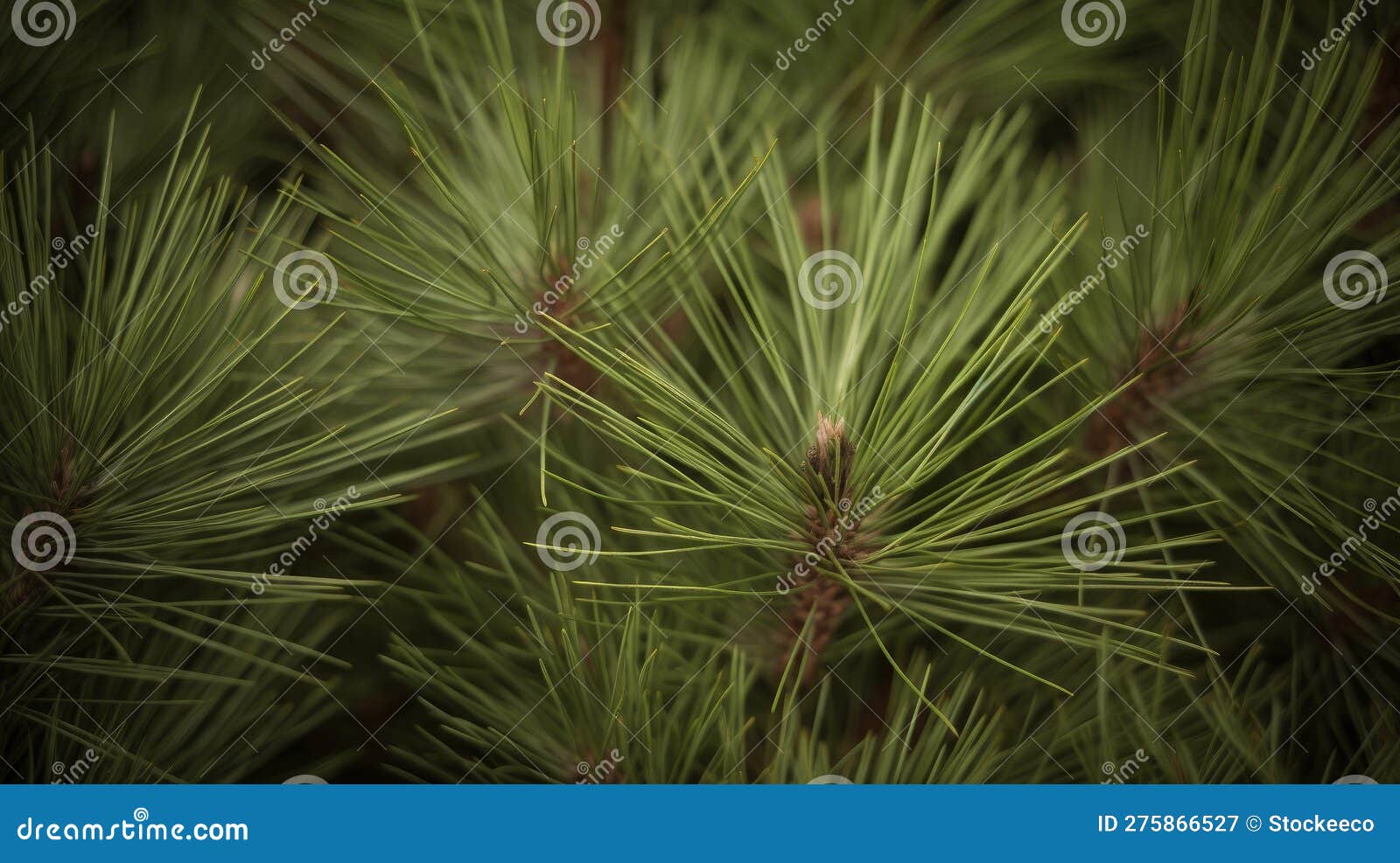 Flat Pine Needle Texture Background Stock Illustration - Illustration ...