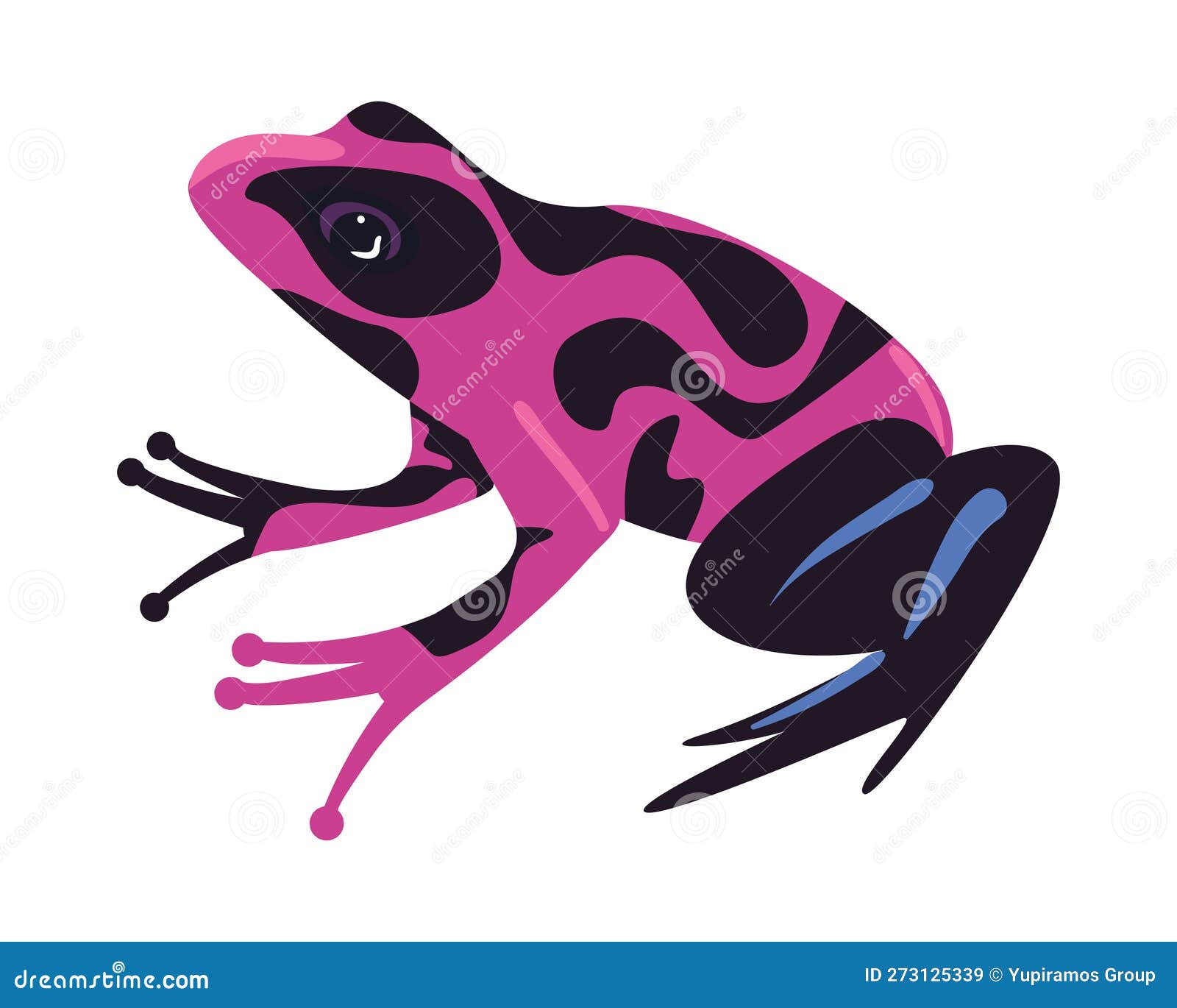 Flat pink frog stock vector. Illustration of beautiful - 273125339