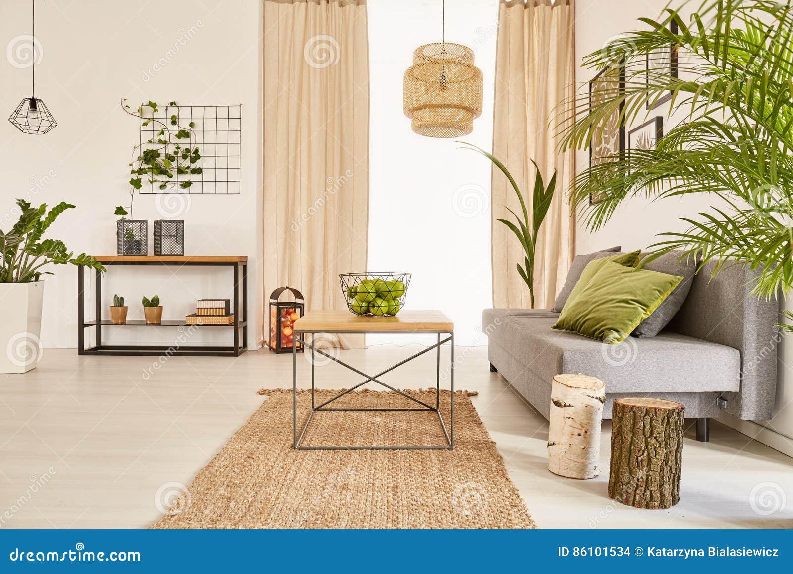 Flat with plants and couch stock photo. Image of home - 86101534