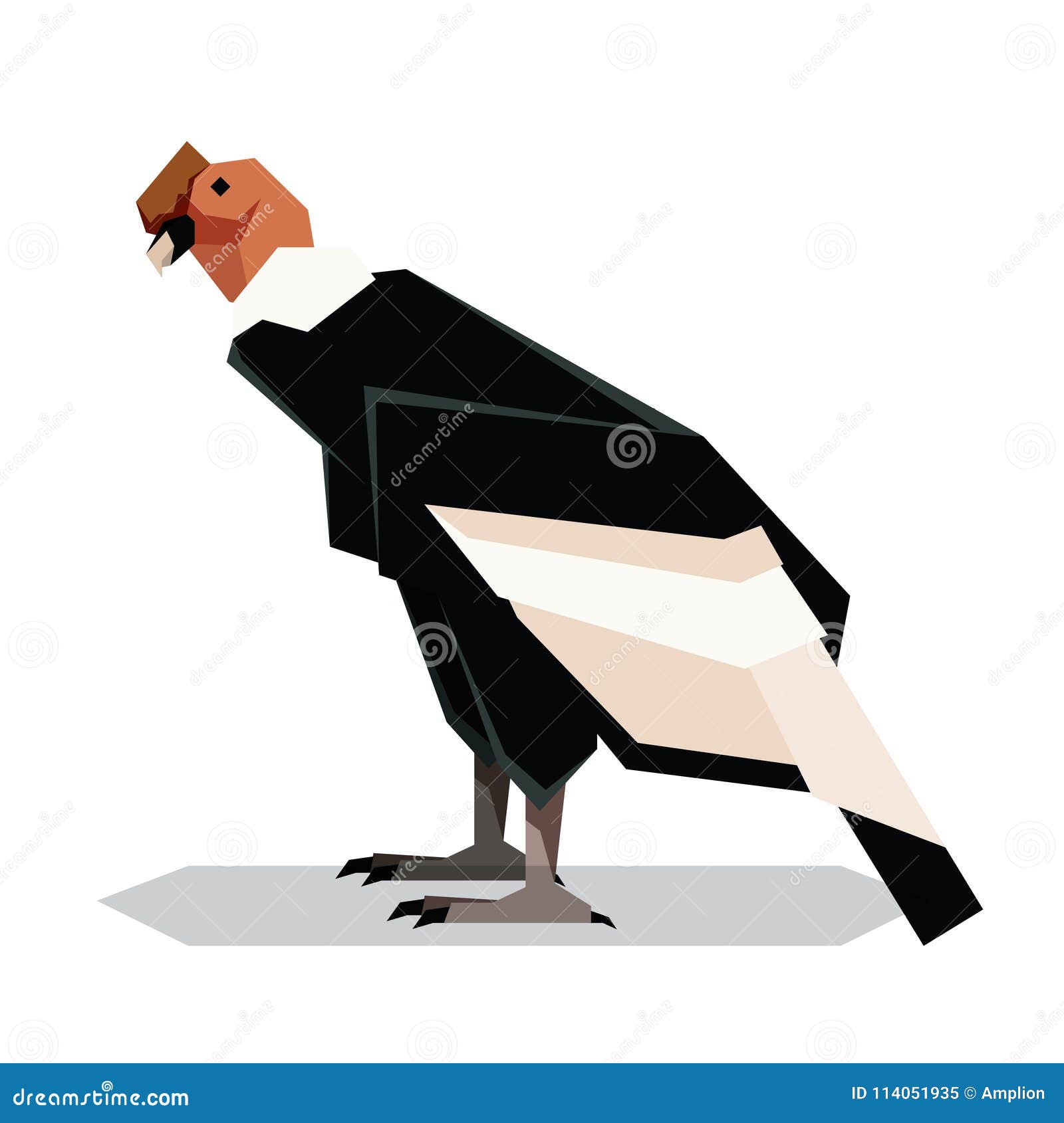 Andean Condor Vultur Gryphus Sitting On A Rock And Spreading Its Wings ...