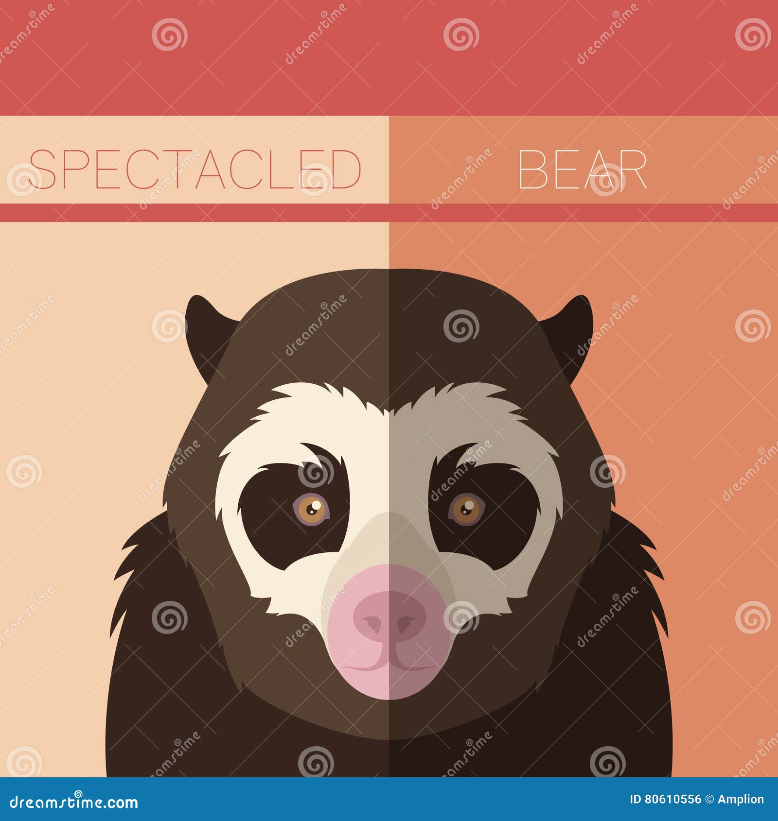 Spectacled Bear Hand Drawing. Vintage Engraving Style. Vector ...