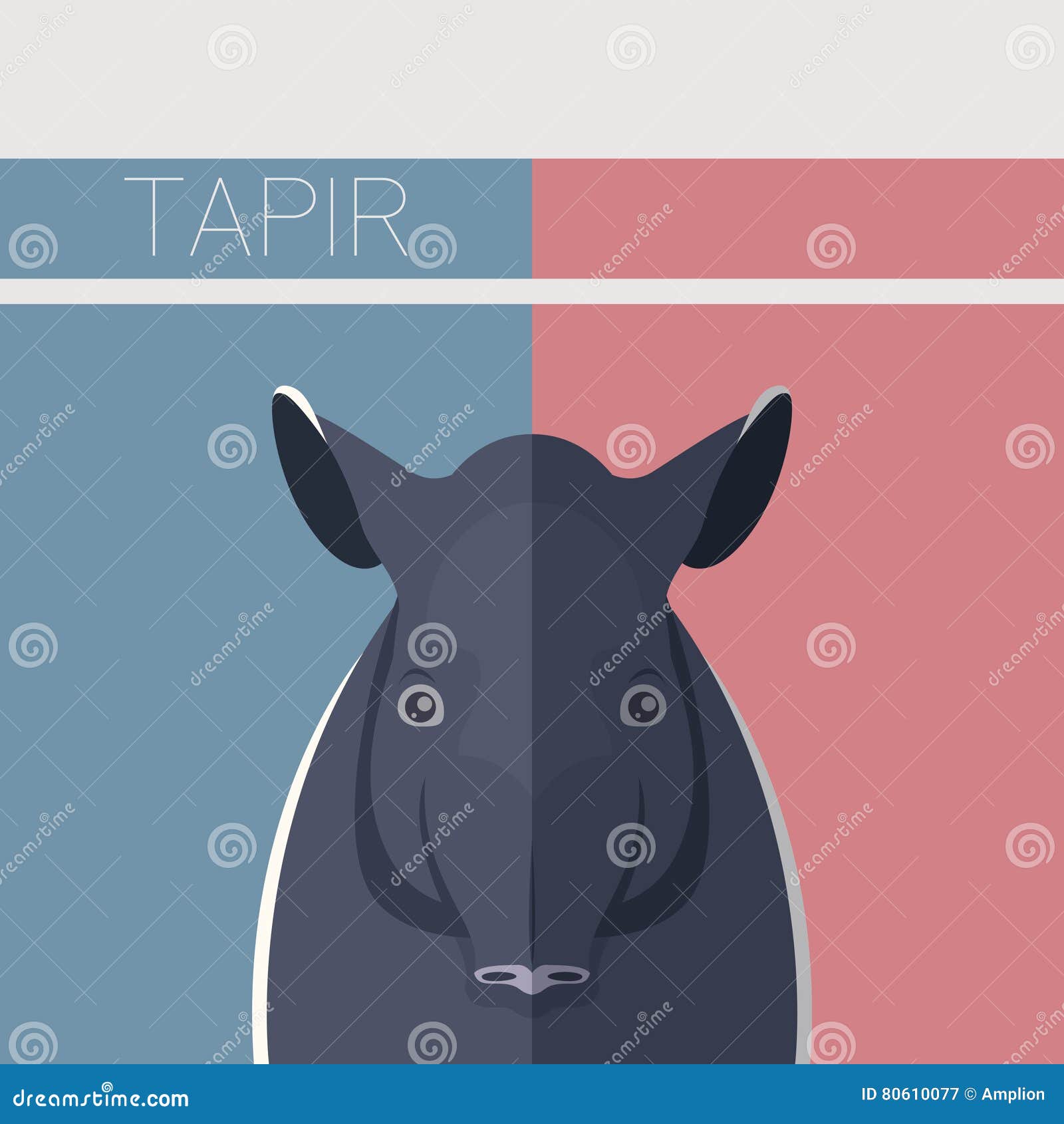 Flat postcard with Tapir stock vector. Illustration of exotic - 80610077