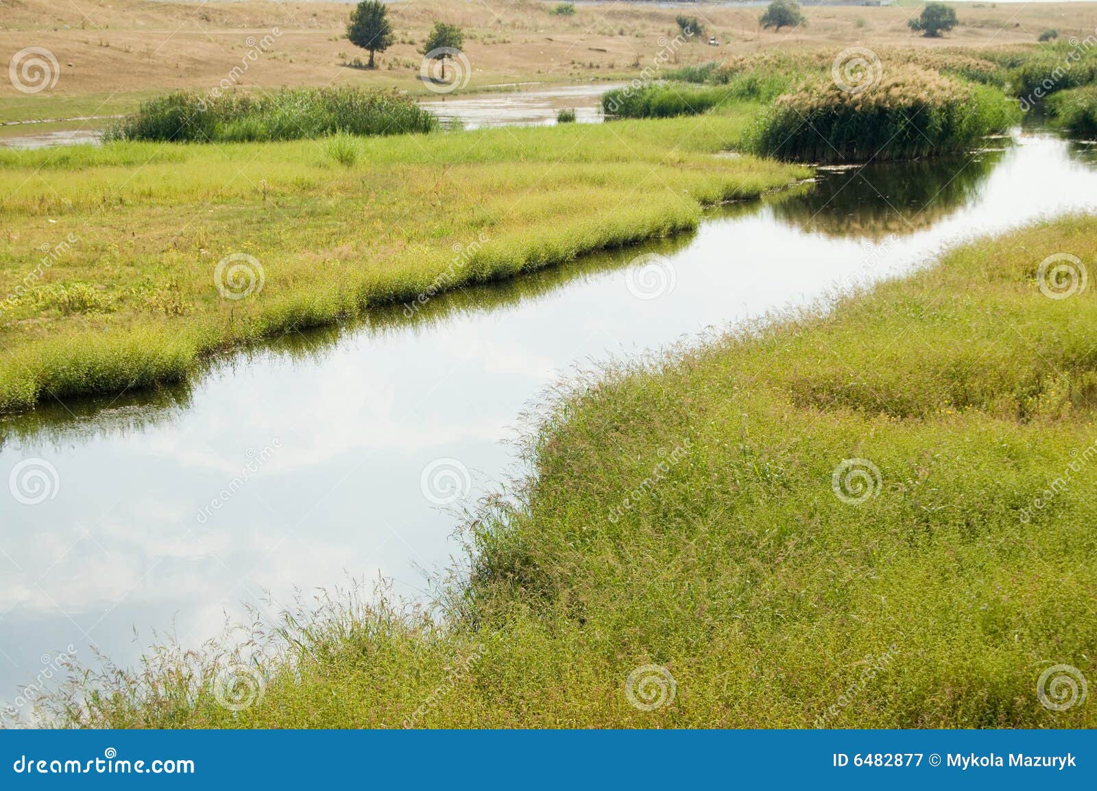 Flat river stock image. Image of bank, herb, lake, plant - 6482877