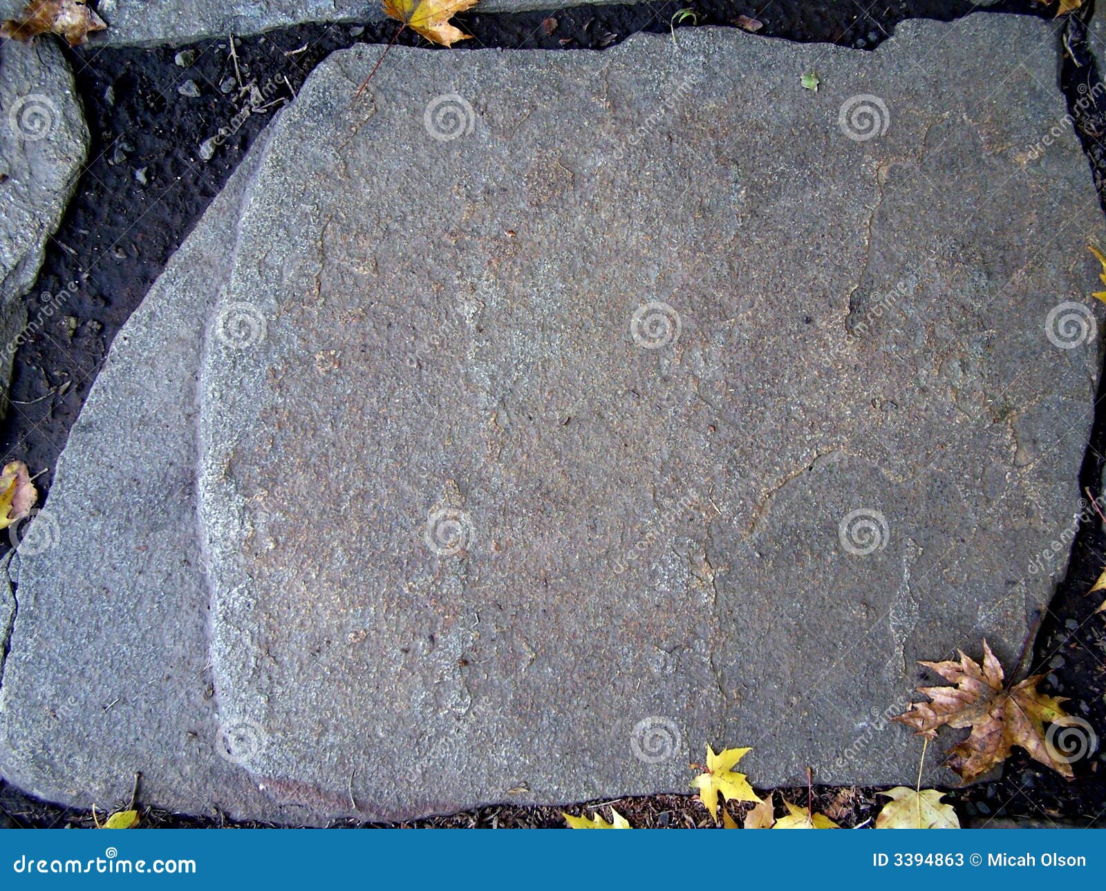 Flat Rock stock image. Image of tint, outside, rocks, leaf - 3394863