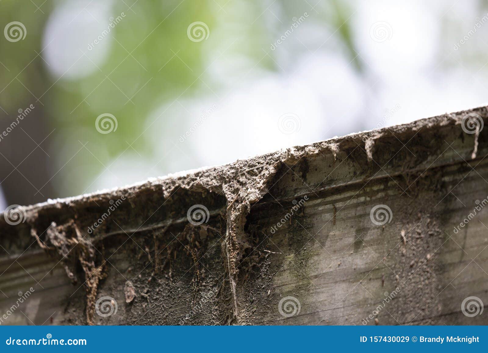 Flat Roof Facing Board stock image. Image of abstract - 157430029