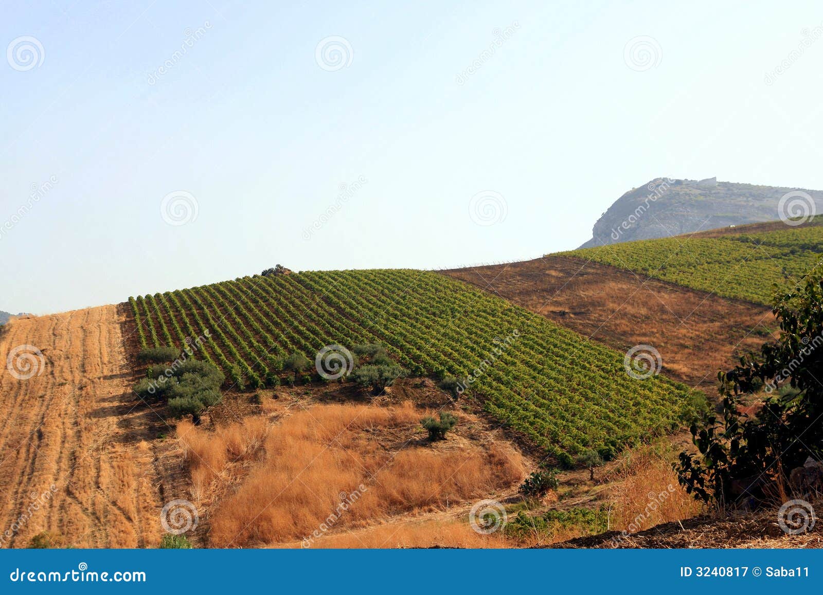 Flat rural landscape stock image. Image of natural, agriculture - 3240817