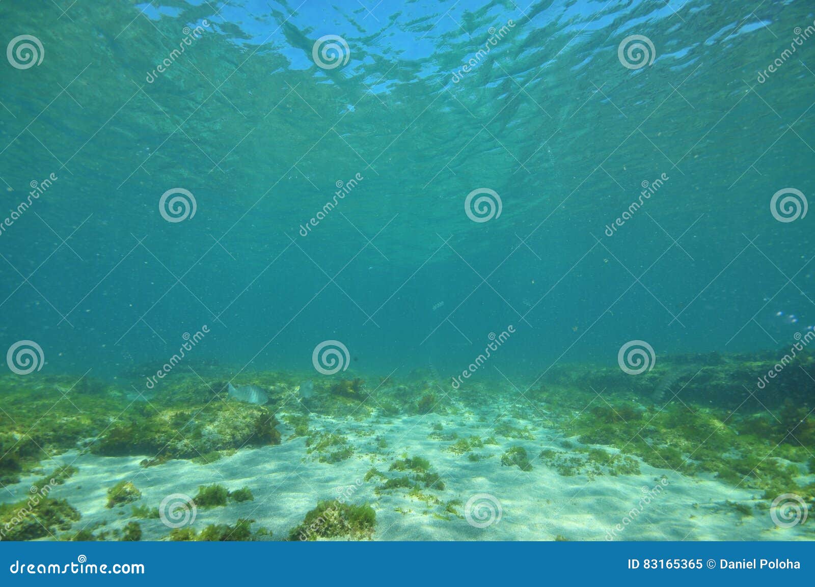 Flat Sea Bottom with Areas of Sand and Rock Stock Image - Image of flat ...