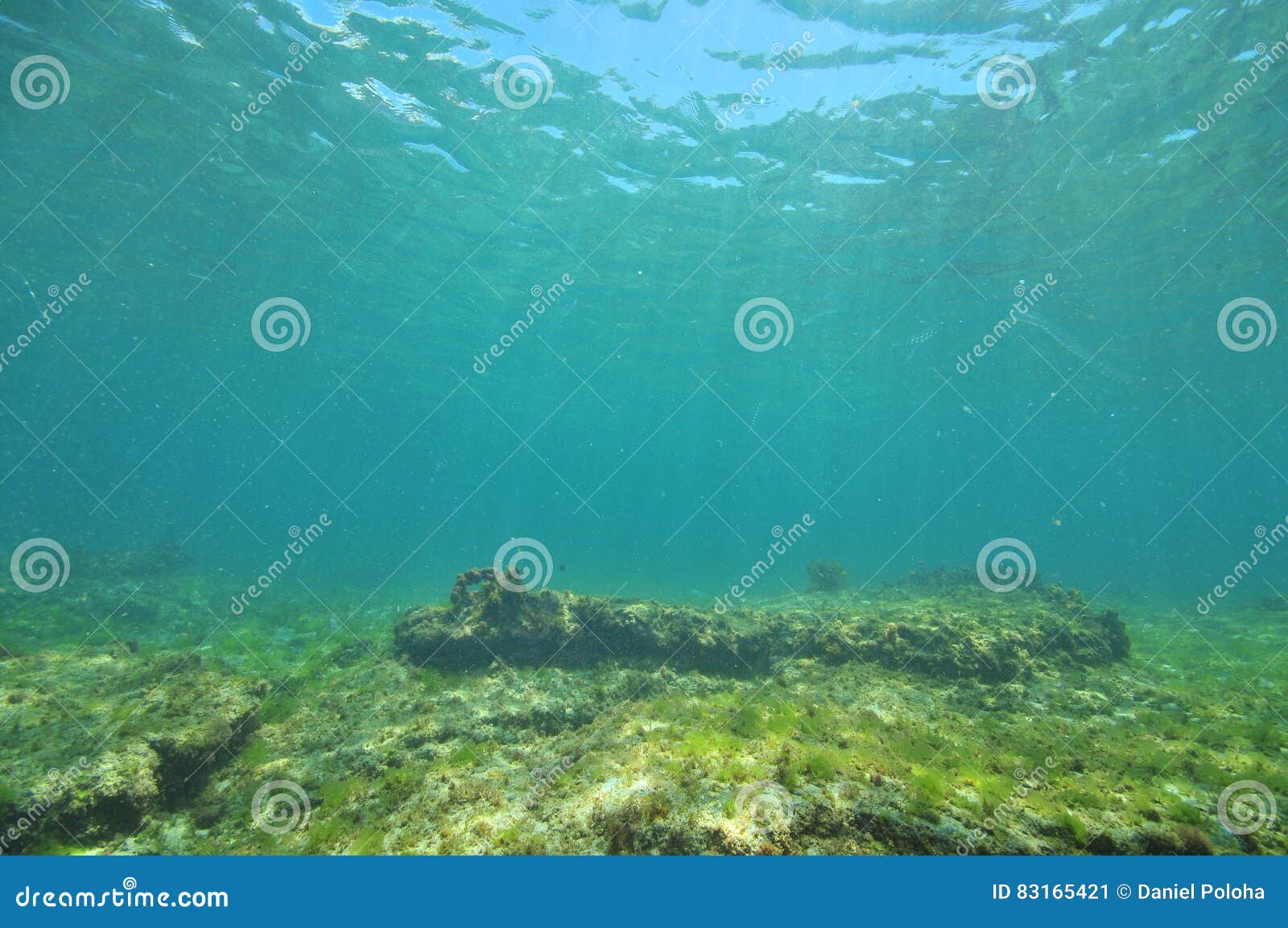 Flat Sea Bottom with Areas of Sand and Rock Stock Image - Image of ...