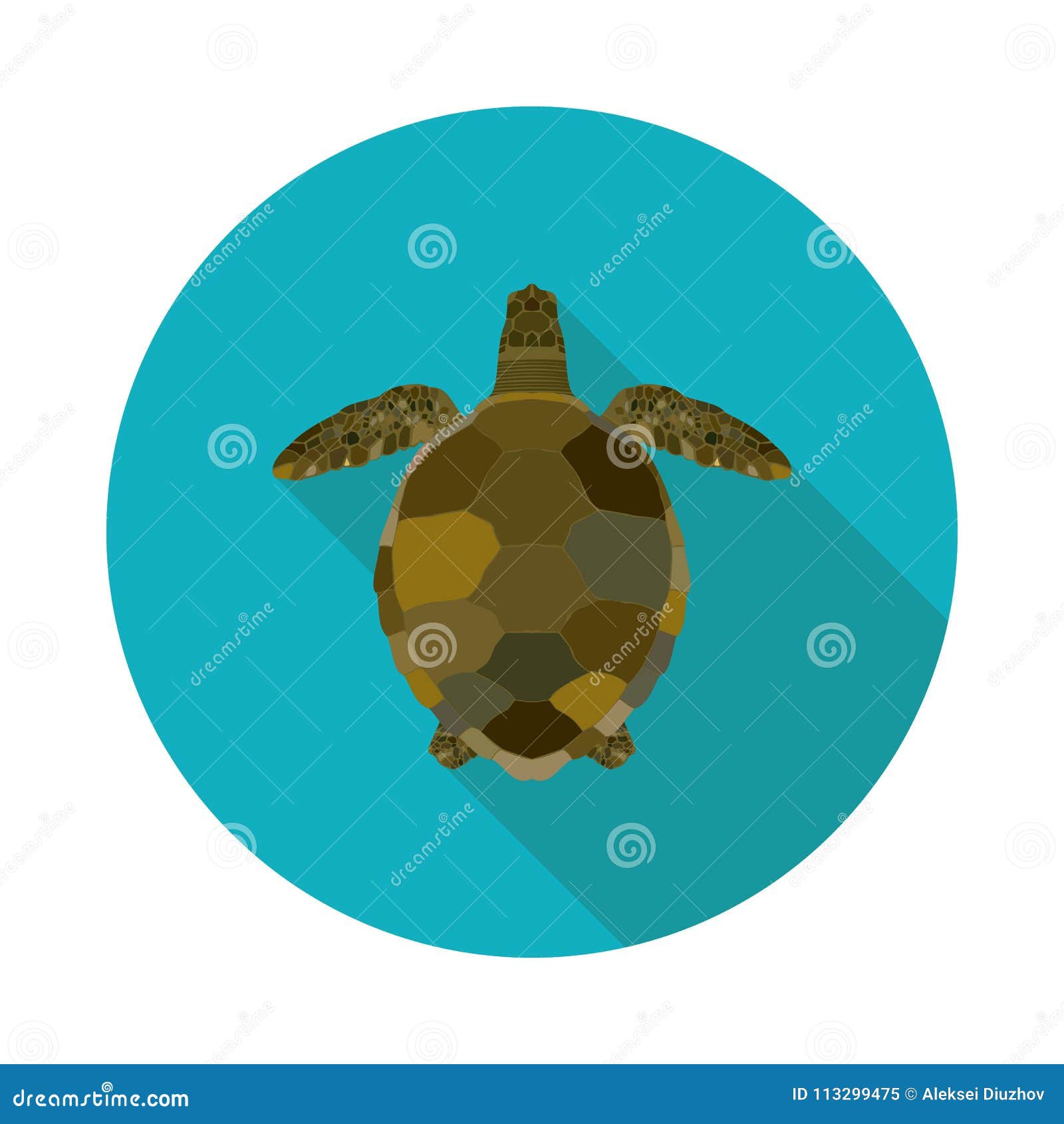 Flat sea turtle icon stock vector. Illustration of sign - 113299475