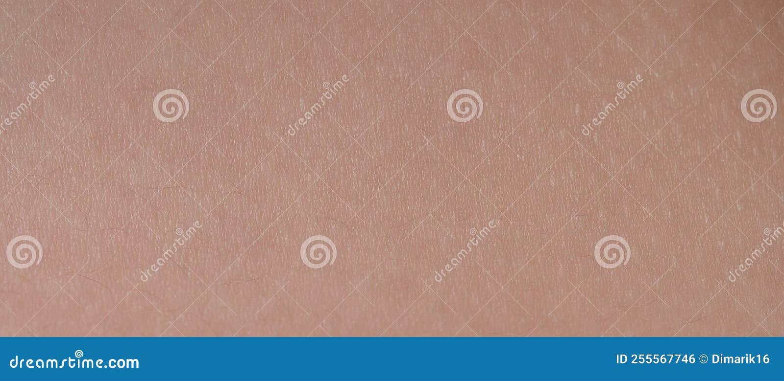 Flat seamless human stock photo. Image of closeup, human - 255567746