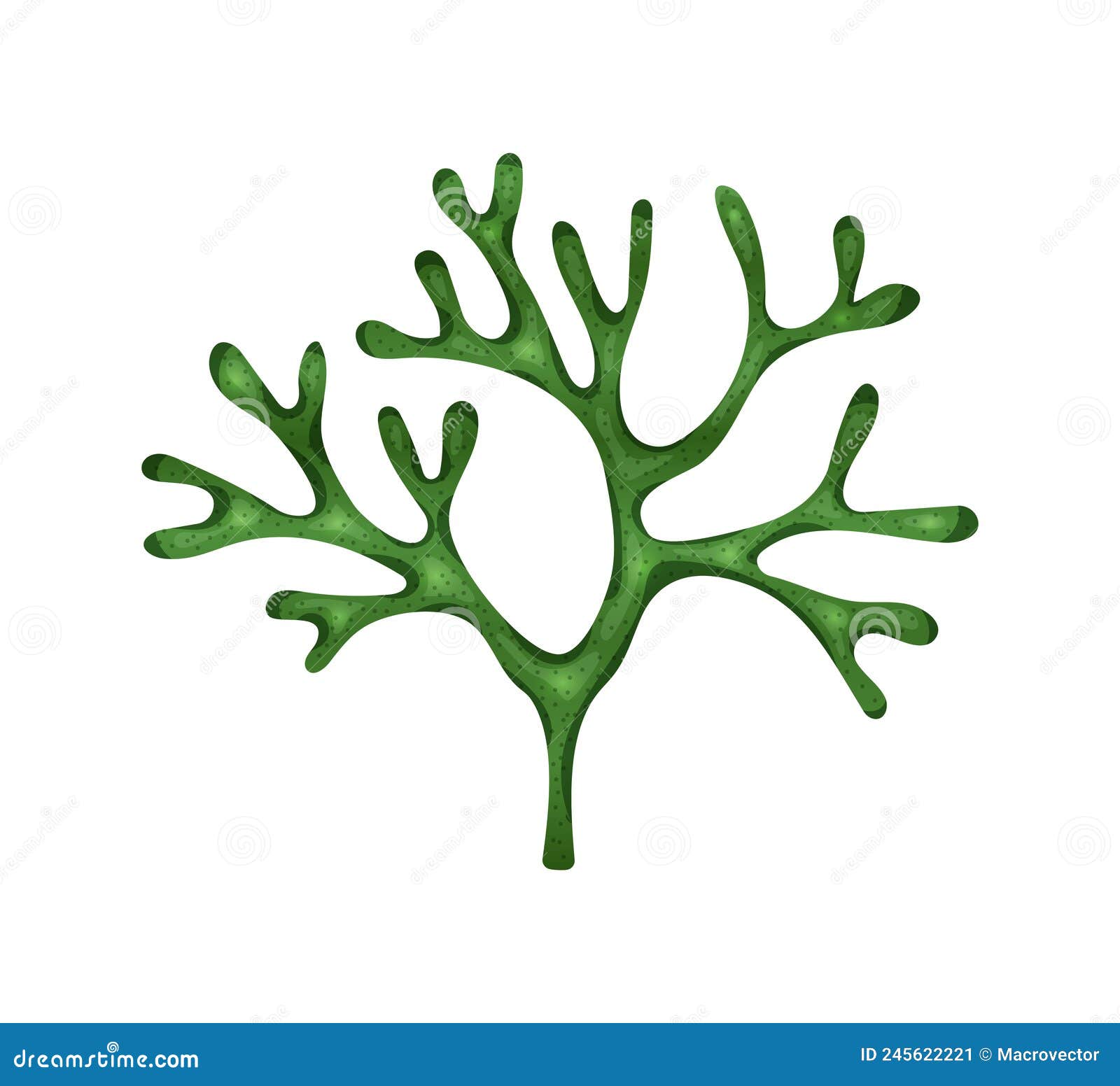 Flat Seaweed Illustration stock vector. Illustration of design - 245622221