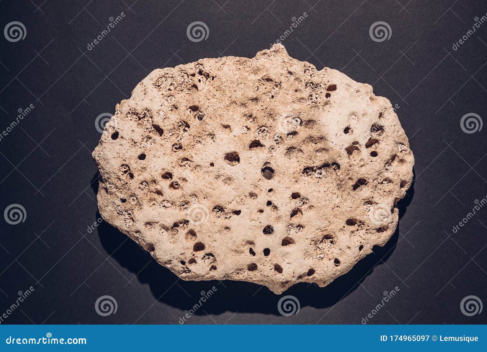 Flat Shell Stone on a Black Background. Building Material Texture Stock ...
