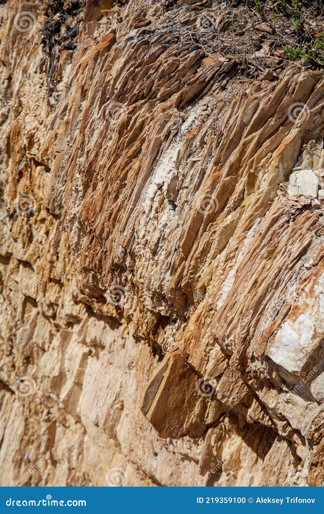 Flat Stone Rock for Construction and Interior Decoration. Beautiful ...