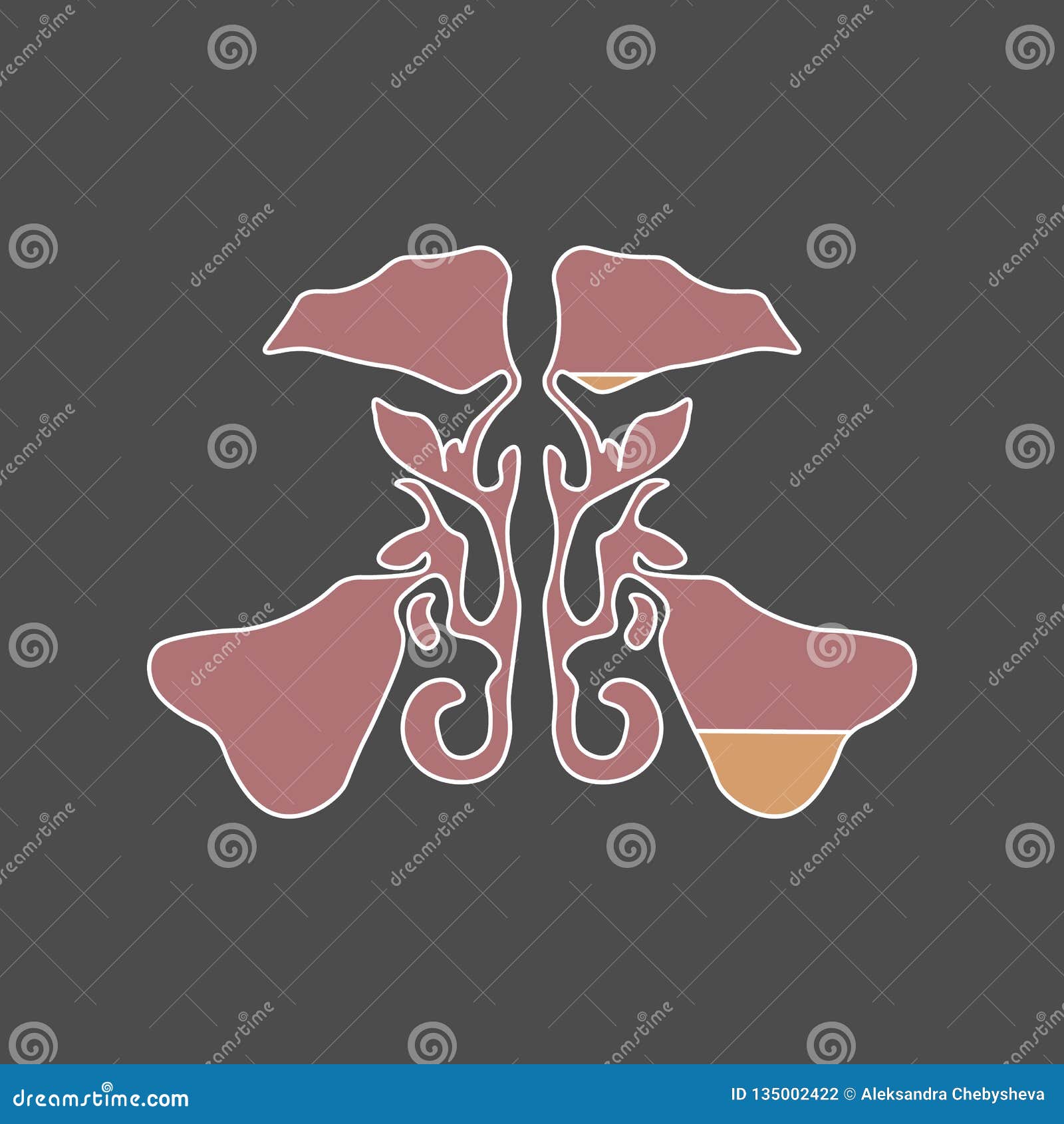 Flat Style Maxillary Sinus. Sinusitis. Sinus Infection is Inflammation ...