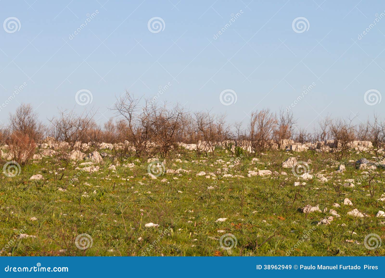 Flat terrain stock image. Image of outdoors, background - 38962949