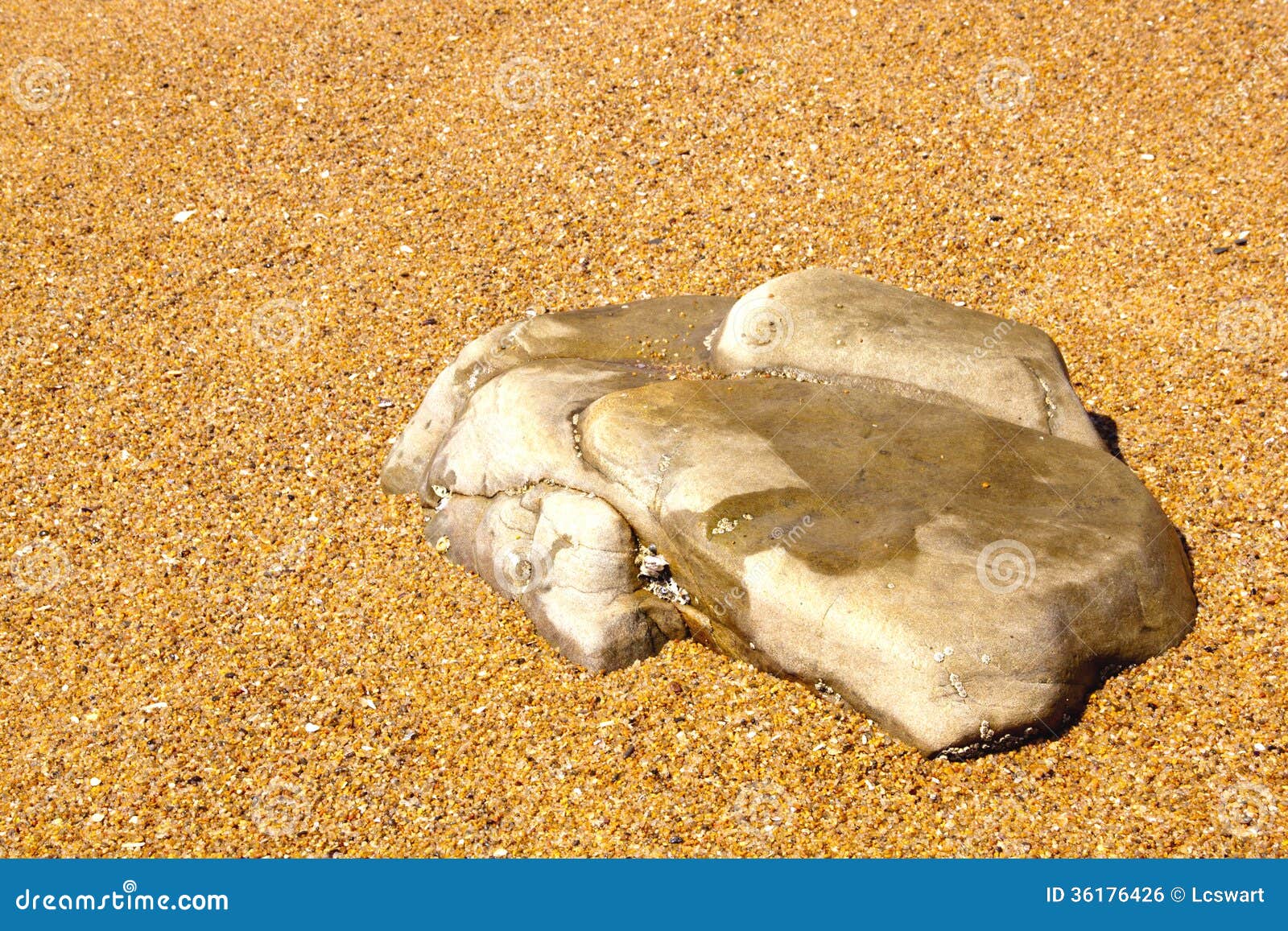 Flat Tip of Rock Protruding from Sand on Beach Stock Photo - Image of ...
