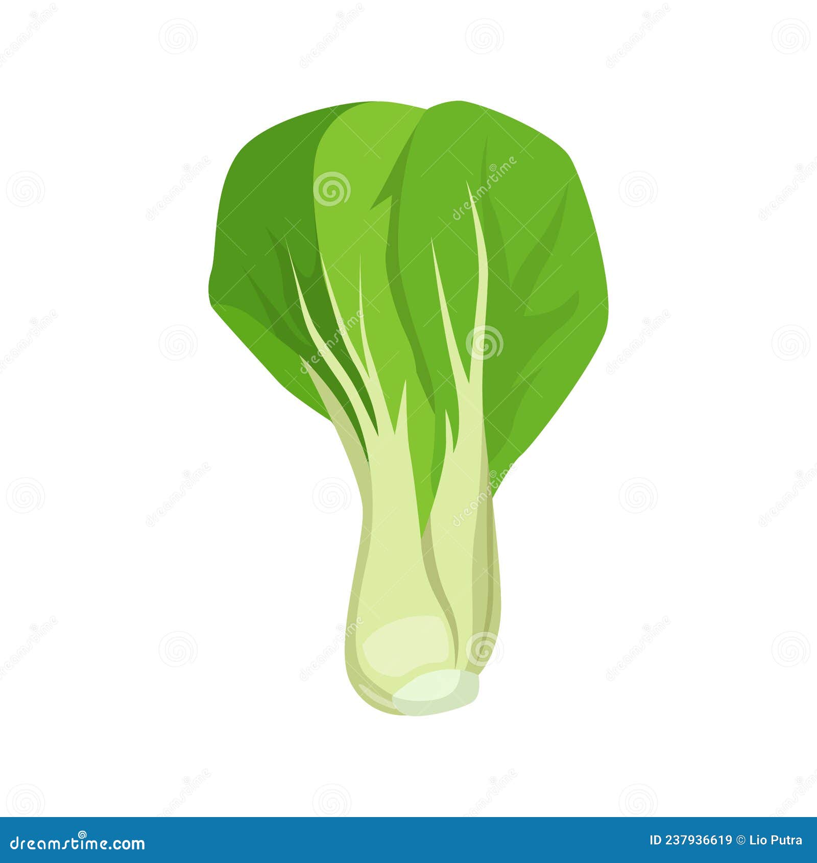 Pak Choi Flat Vector Doodle Illustration. Green Vegetables Healthy Food ...