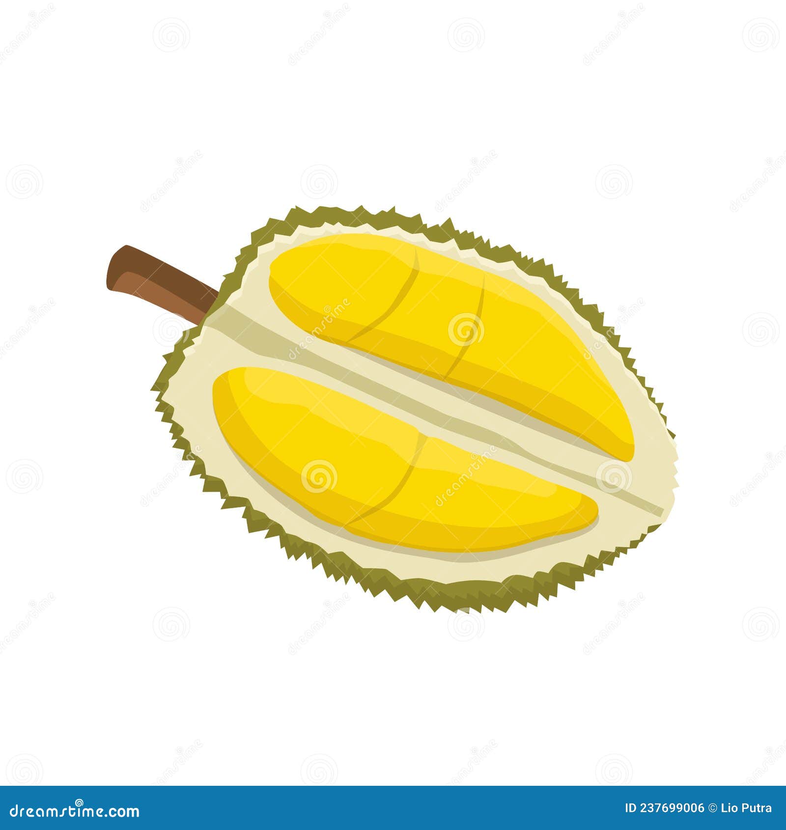 Flat Vector of Durian Isolated on White Background Stock Illustration ...