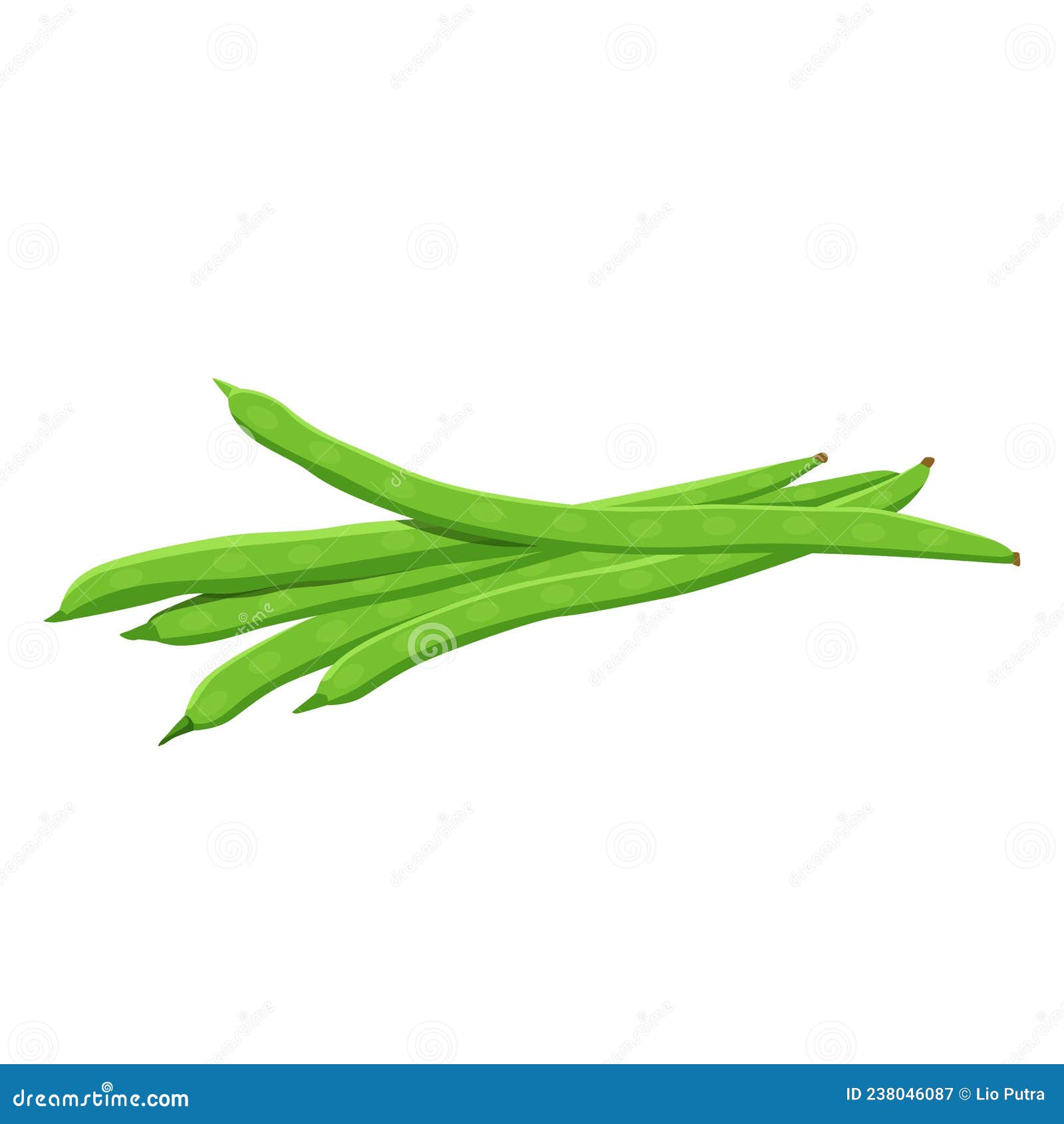Flat Vector of Haricot Beans Isolated on White Stock Vector ...