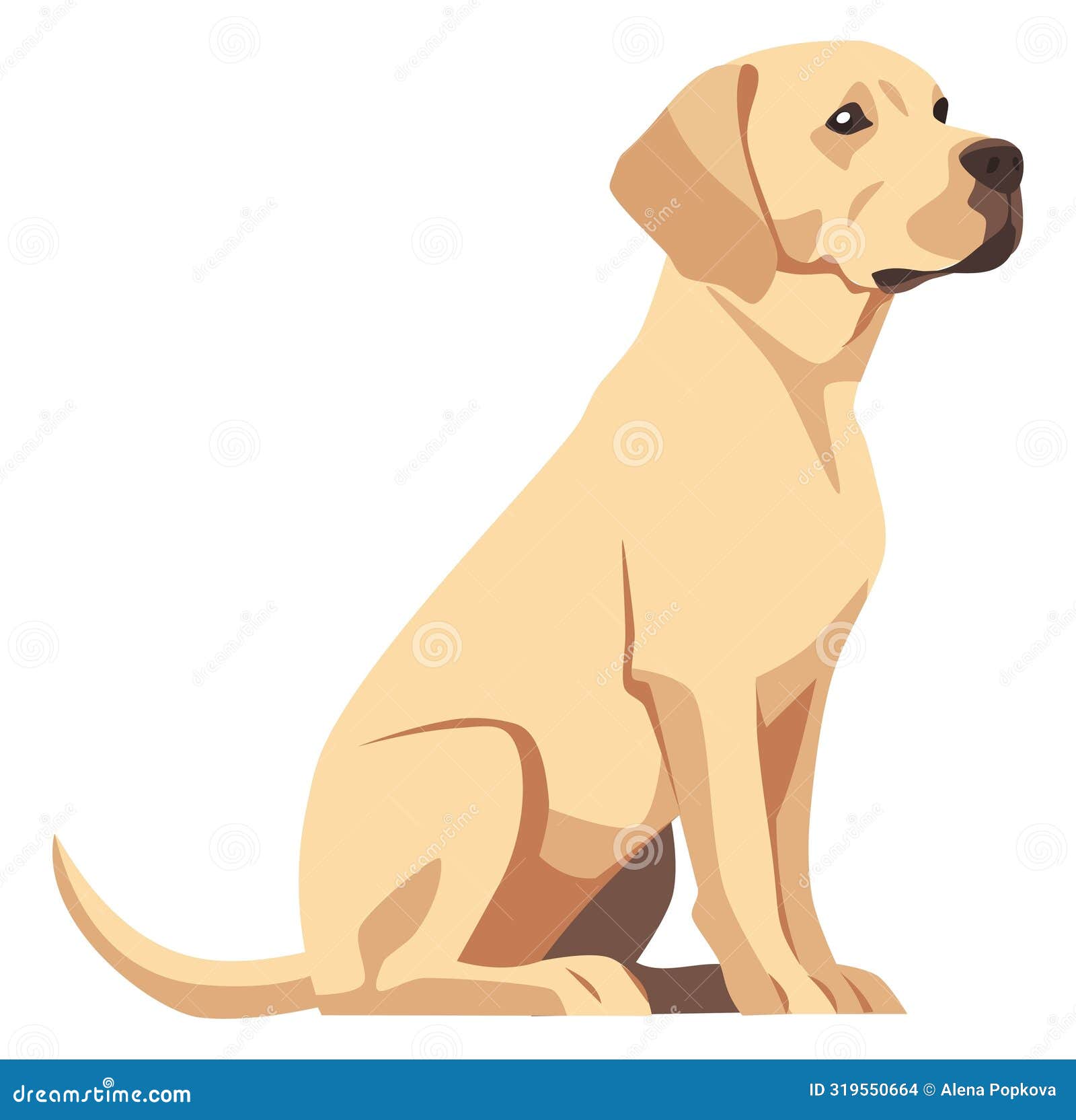 Flat Vector Illustration on White Background. Labrador Retriever Dog Sitting Stock Vector ...