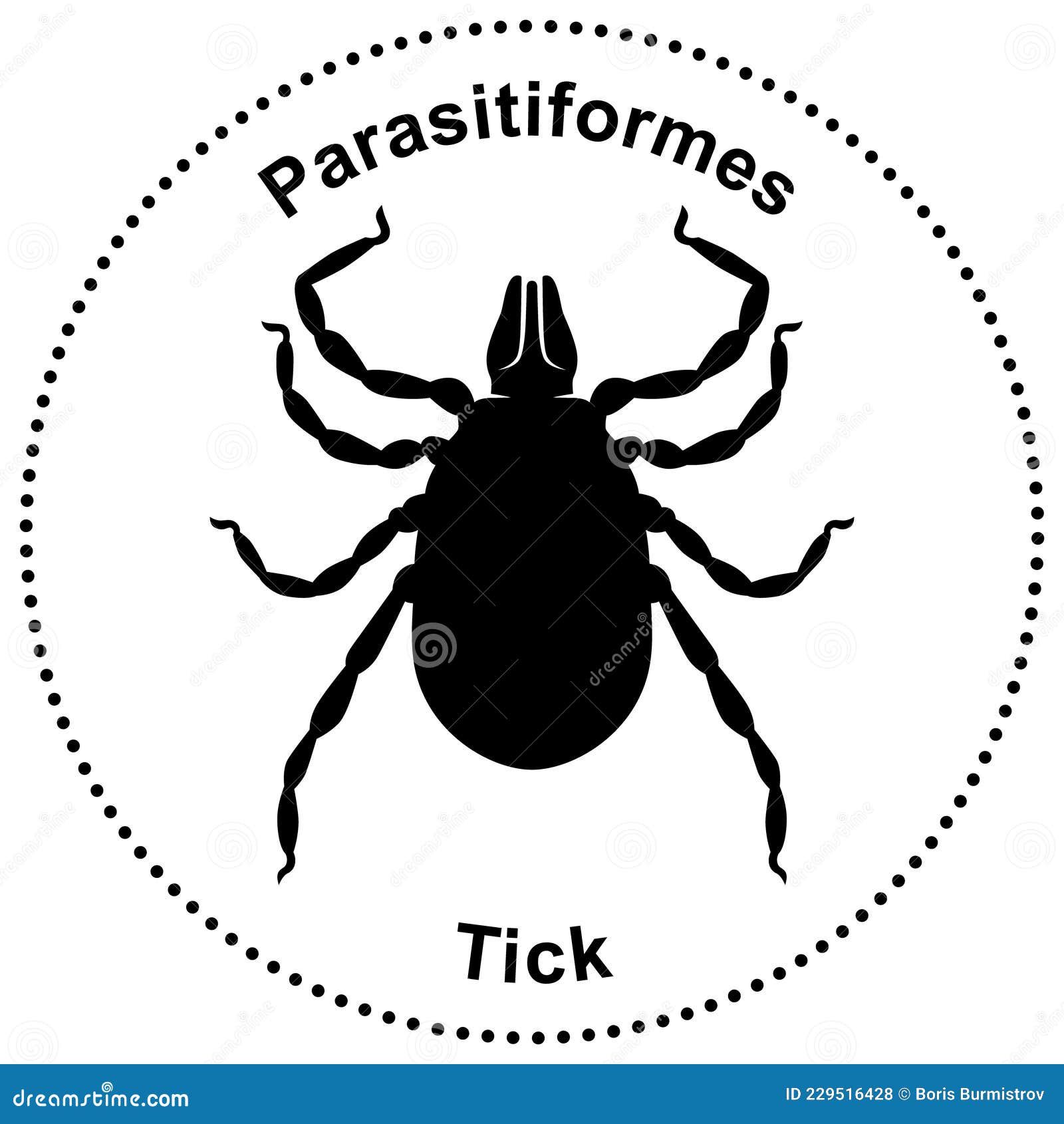 Figure With Tick Boxes Stock Photography | CartoonDealer.com #25344296