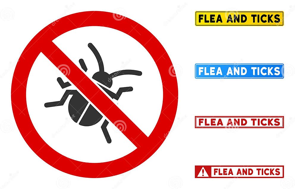 Flat Vector No Bug Sign with Messages in Rectangular Frames Stock ...