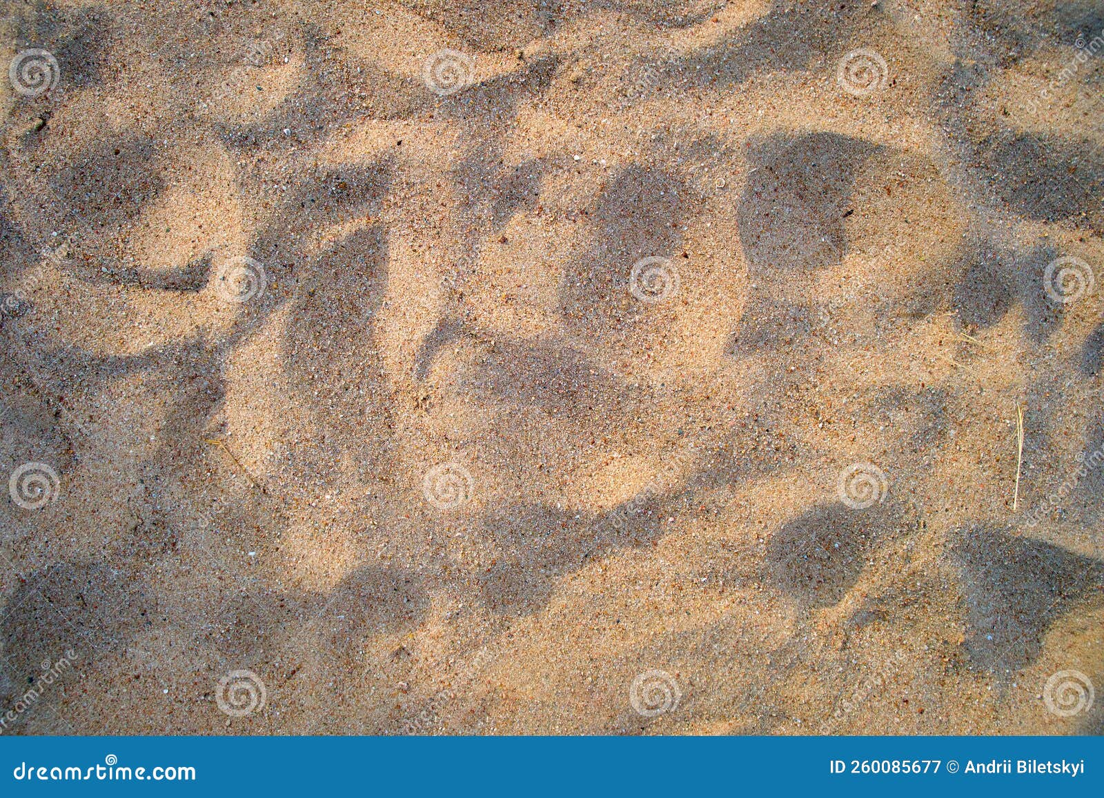 Flat View of Clean Yellow Sand Surface Covering Seaside Beach. Sandy ...
