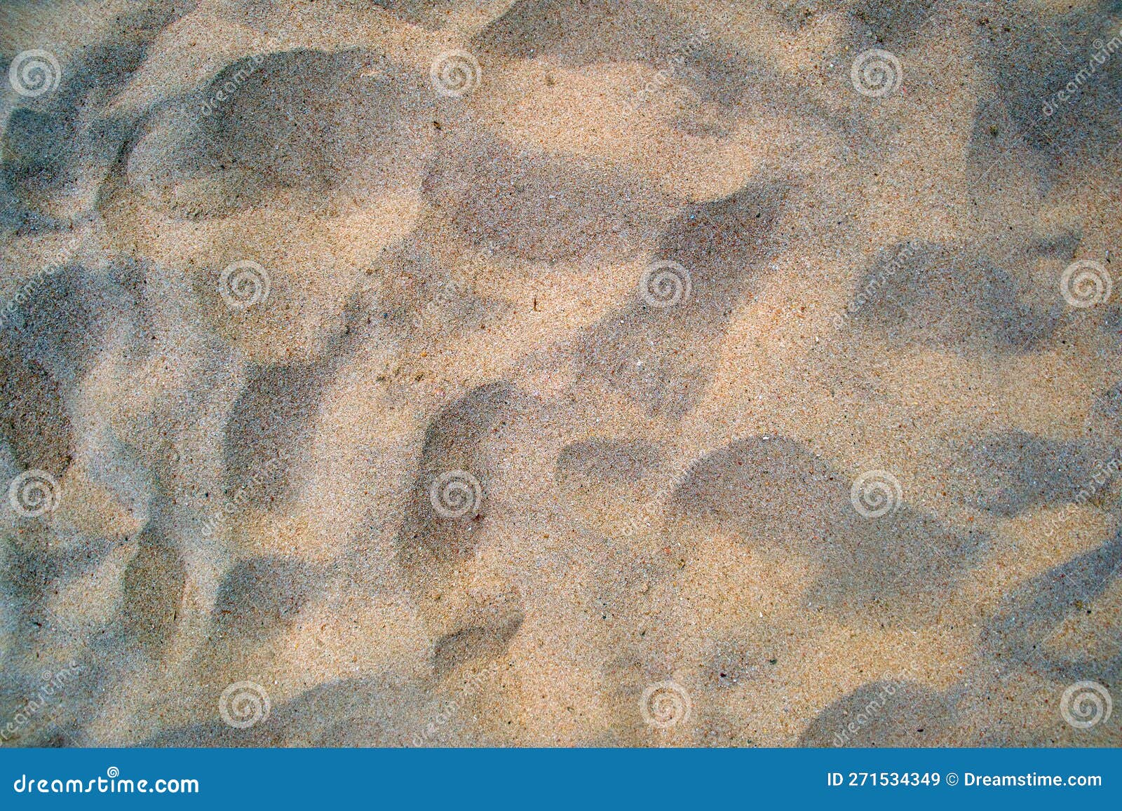 Flat View of Clean Yellow Sand Surface Covering Seaside Beach. Sandy ...