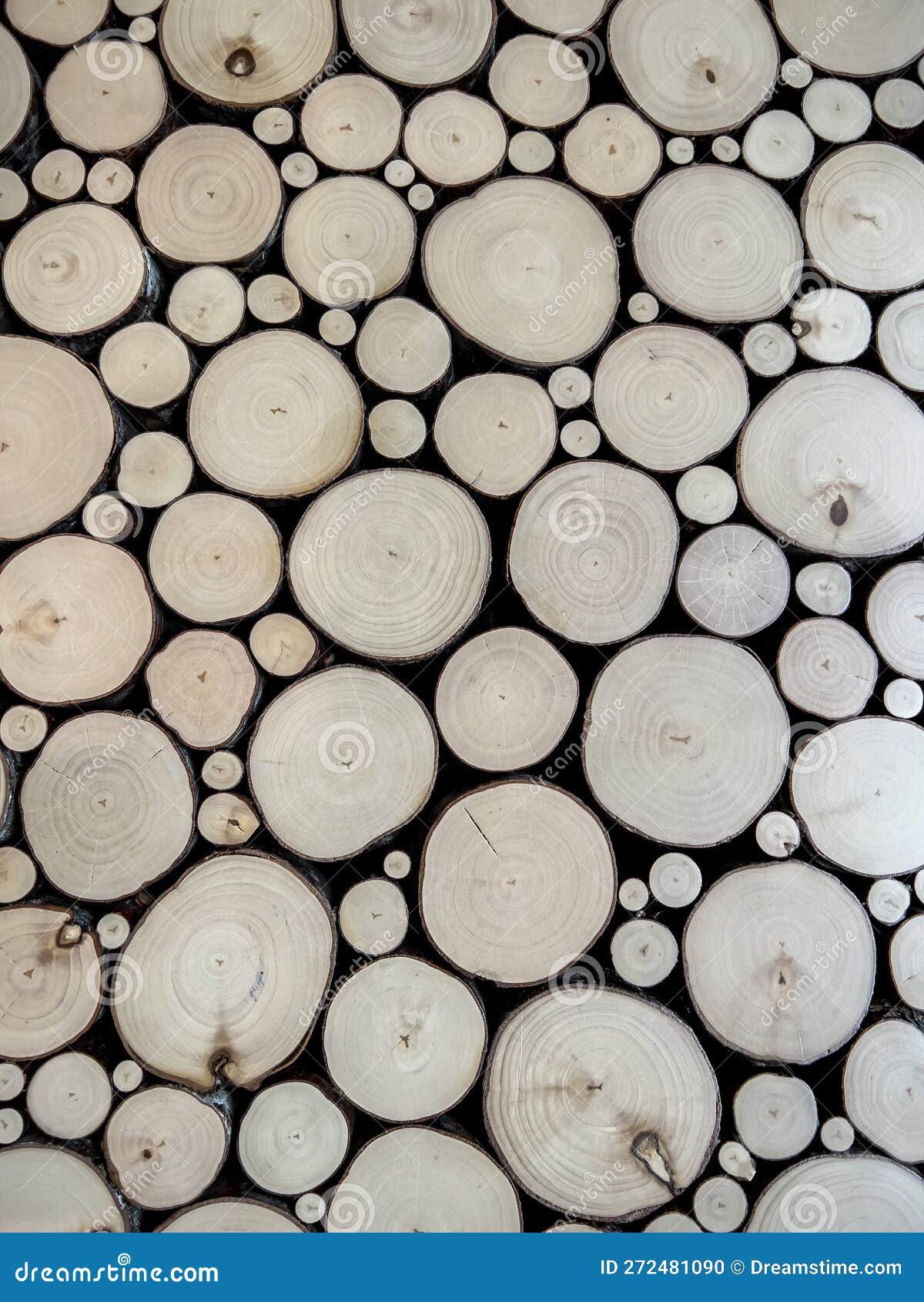 Flat View of Textured, Cross Sections of Wood Logs Stock Photo - Image ...