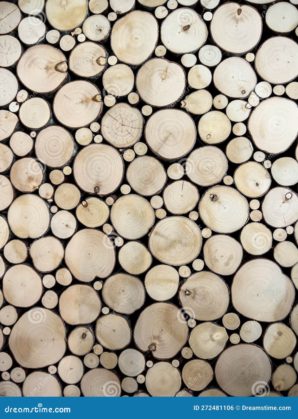 Flat View of Textured, Cross Sections of Wood Logs Stock Photo - Image ...