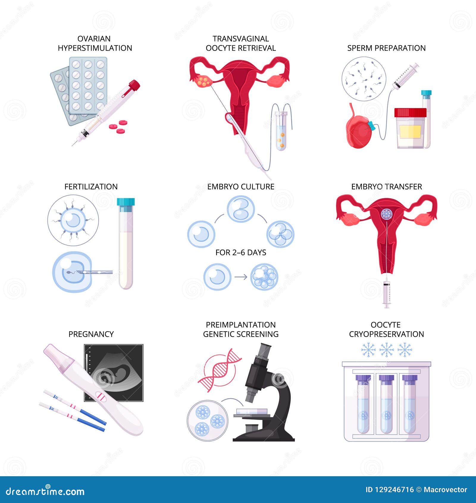 Flat in Vitro Fertilization IVF Icon Set Stock Vector - Illustration of ...