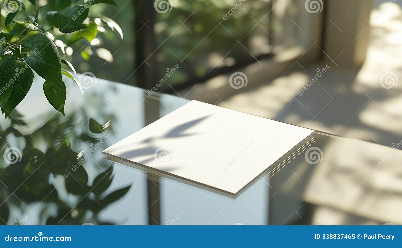 Flat White Card Lying on Glass Table with Leaf Shadows and Sunlight ...